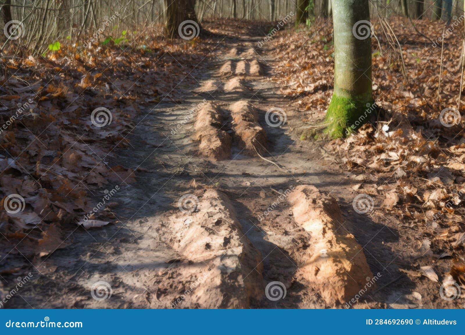 Close-up of Trail Markers, with Dirt and Mud Visible Stock Photo ...