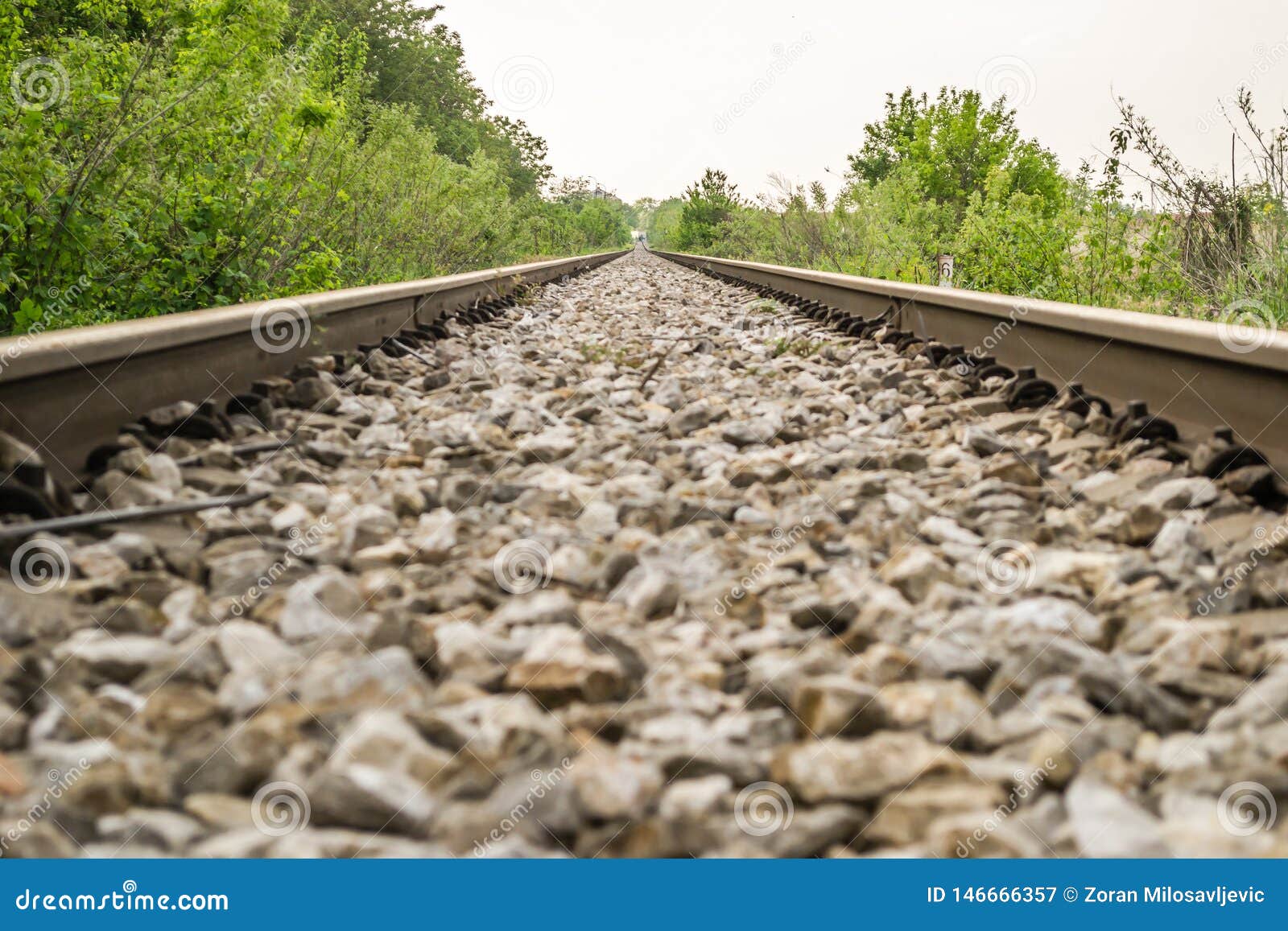 Close-up of Train Tracks with the Forest Stock Image - Image of outdoor ...