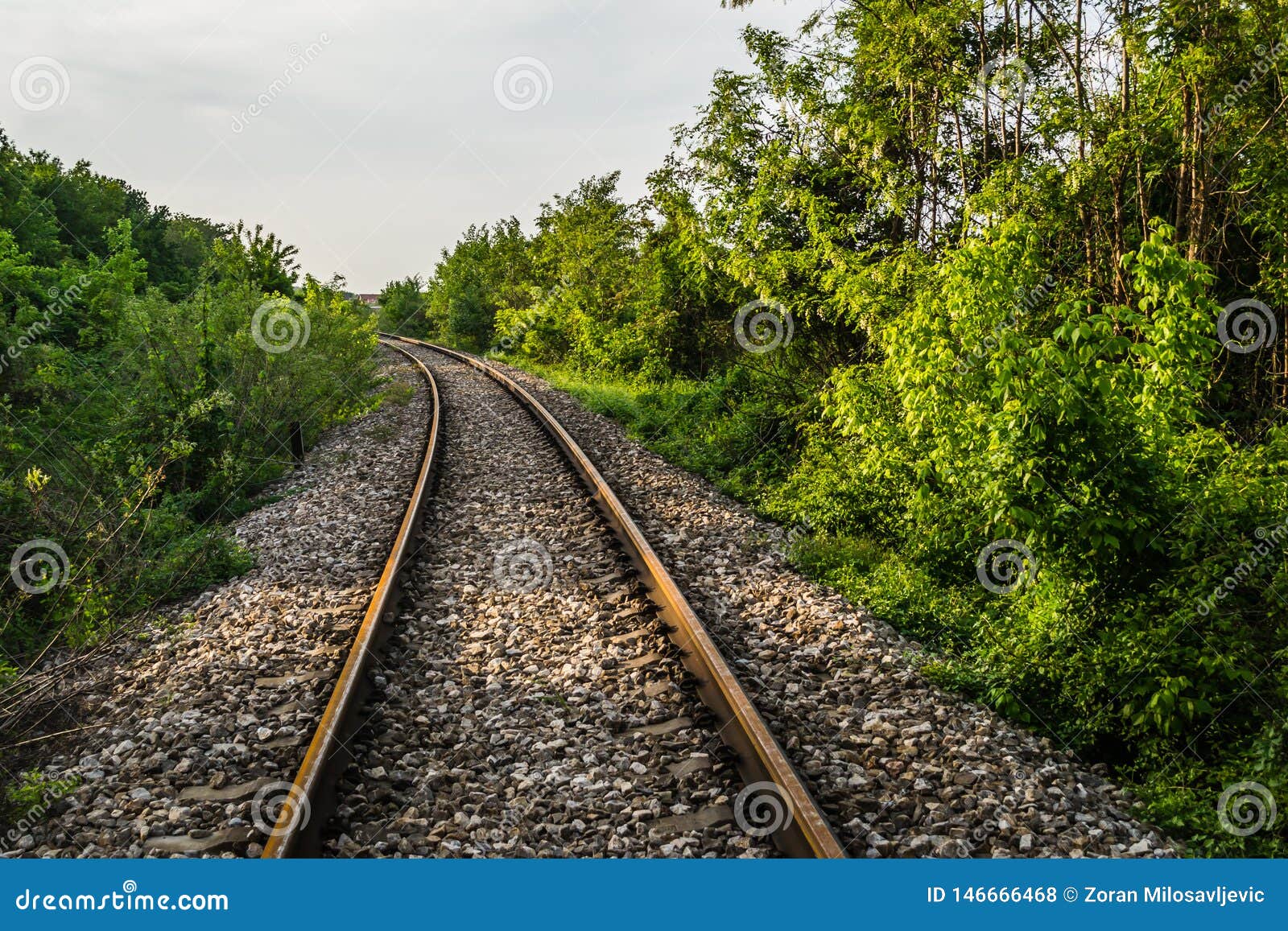 Close-up of Train Tracks with the Forest Stock Photo - Image of close ...