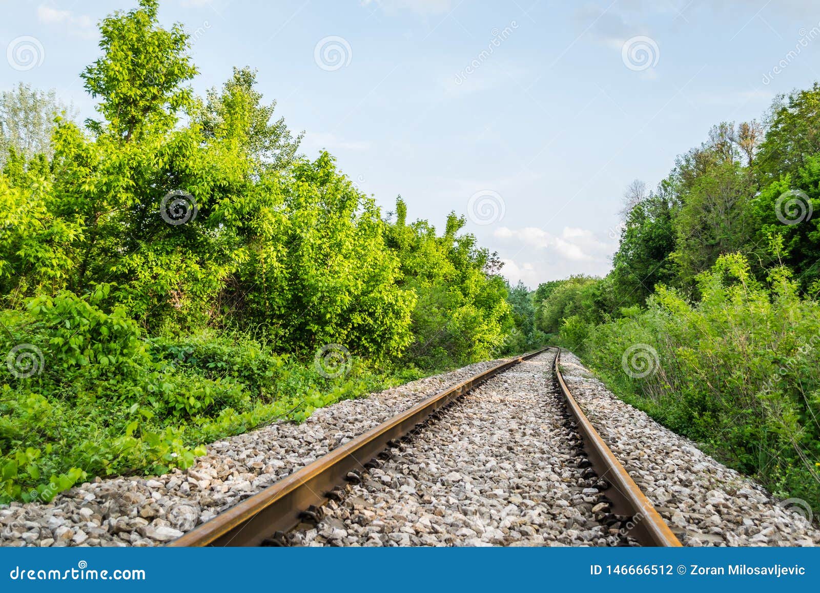 Close-up of Train Tracks with the Forest Stock Photo - Image of ...