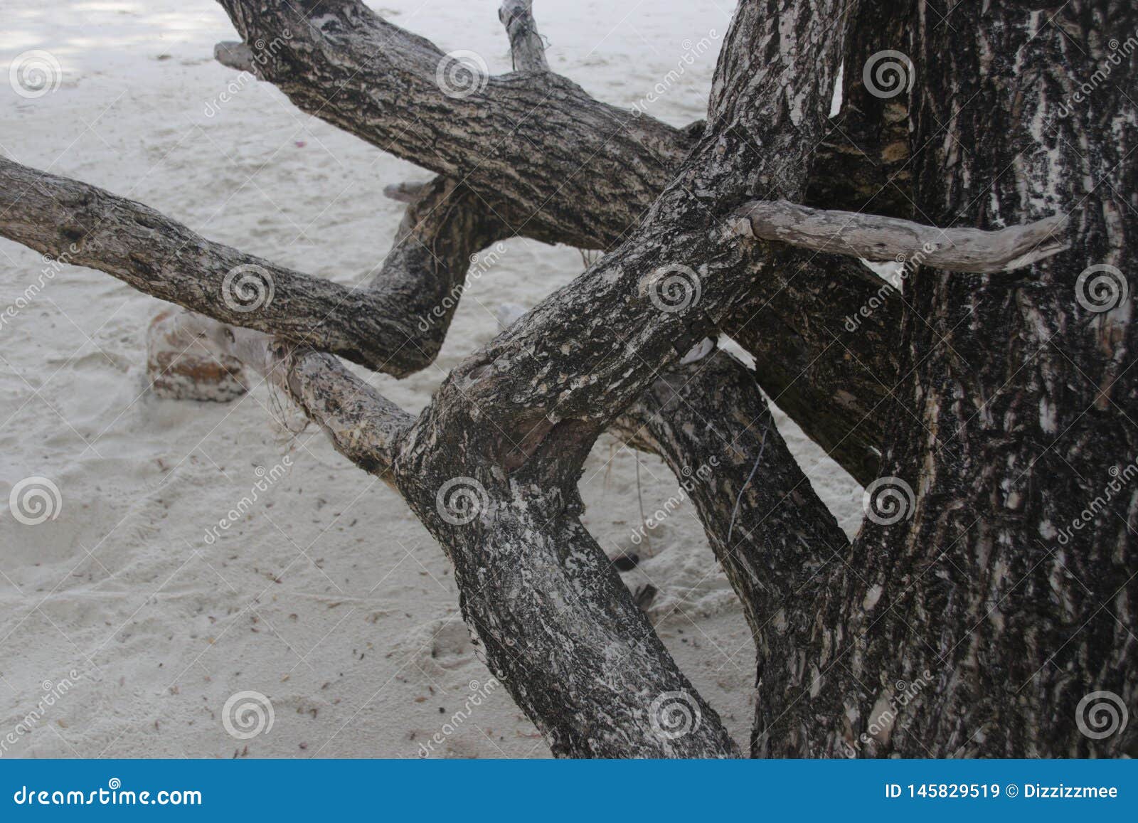 Memory from the Beach on Summer Holidays Stock Image - Image of ocean ...