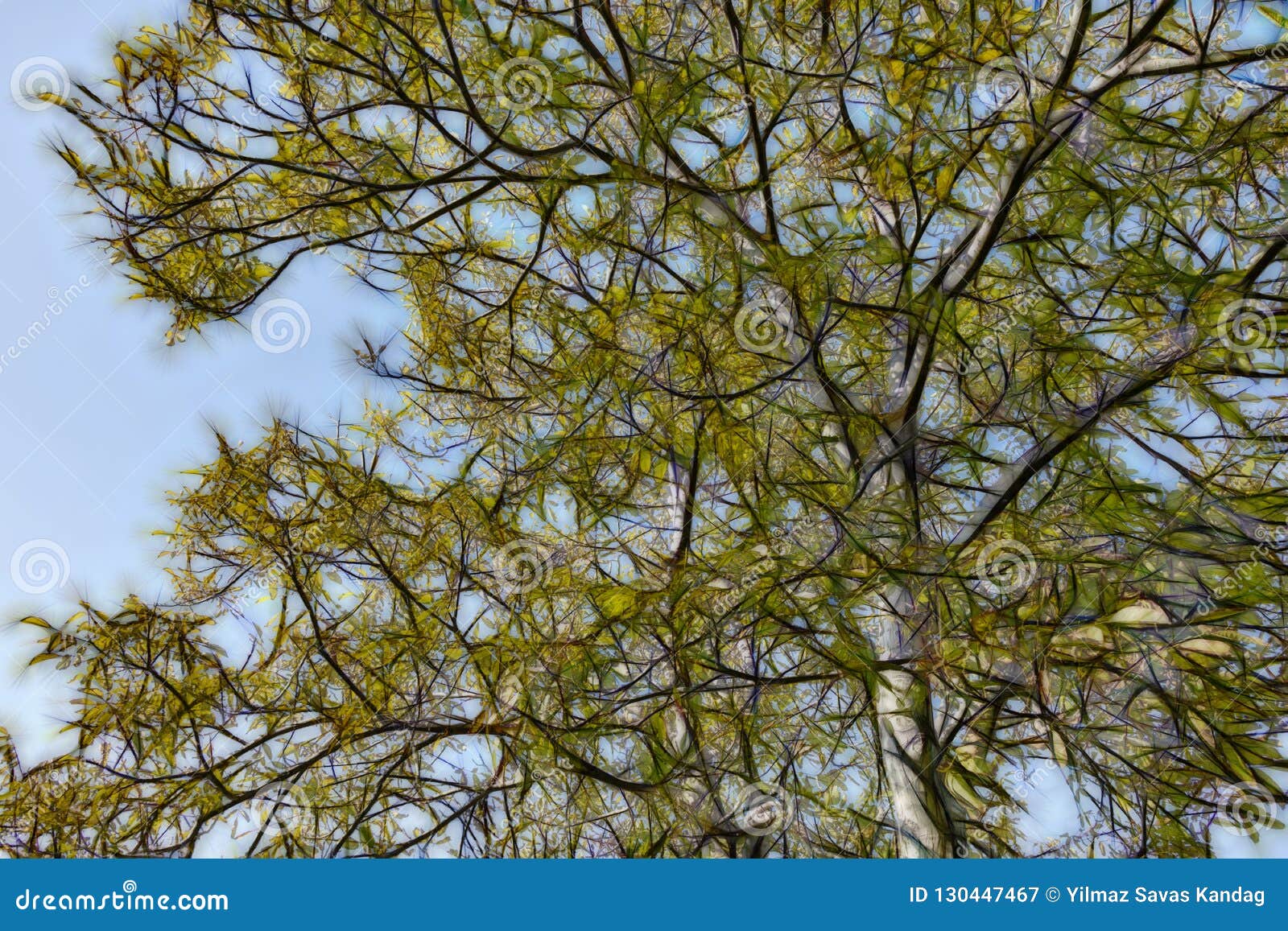 Close up tree in nature stock image. Image of branch - 130447467