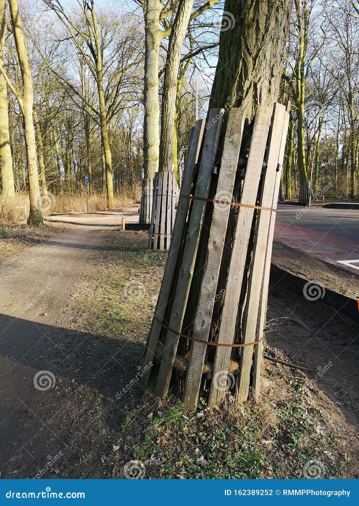 Close-up of a Tree Protected during Construction Work Stock Photo ...