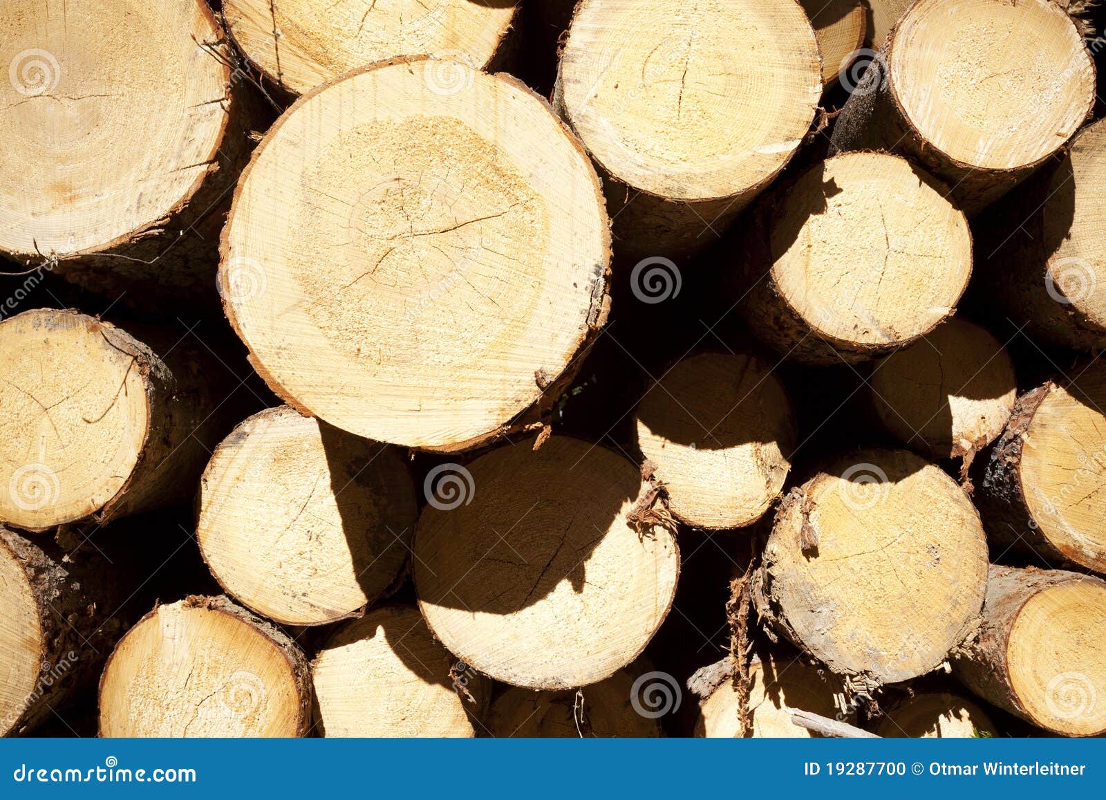 Close Up of Tree Trunk Stack. Stock Photo - Image of clearing, lumber ...