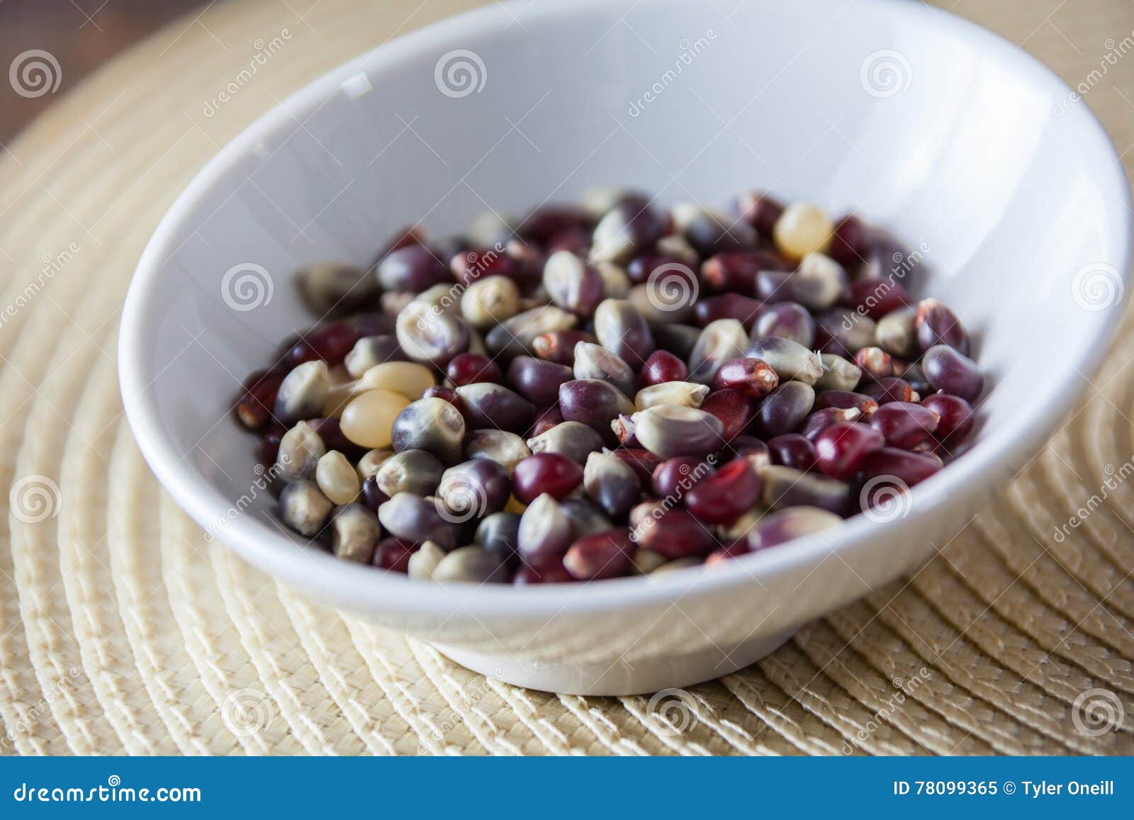Close Up of Tri Color Popcorn Kernels in a White Bowl with Selective ...