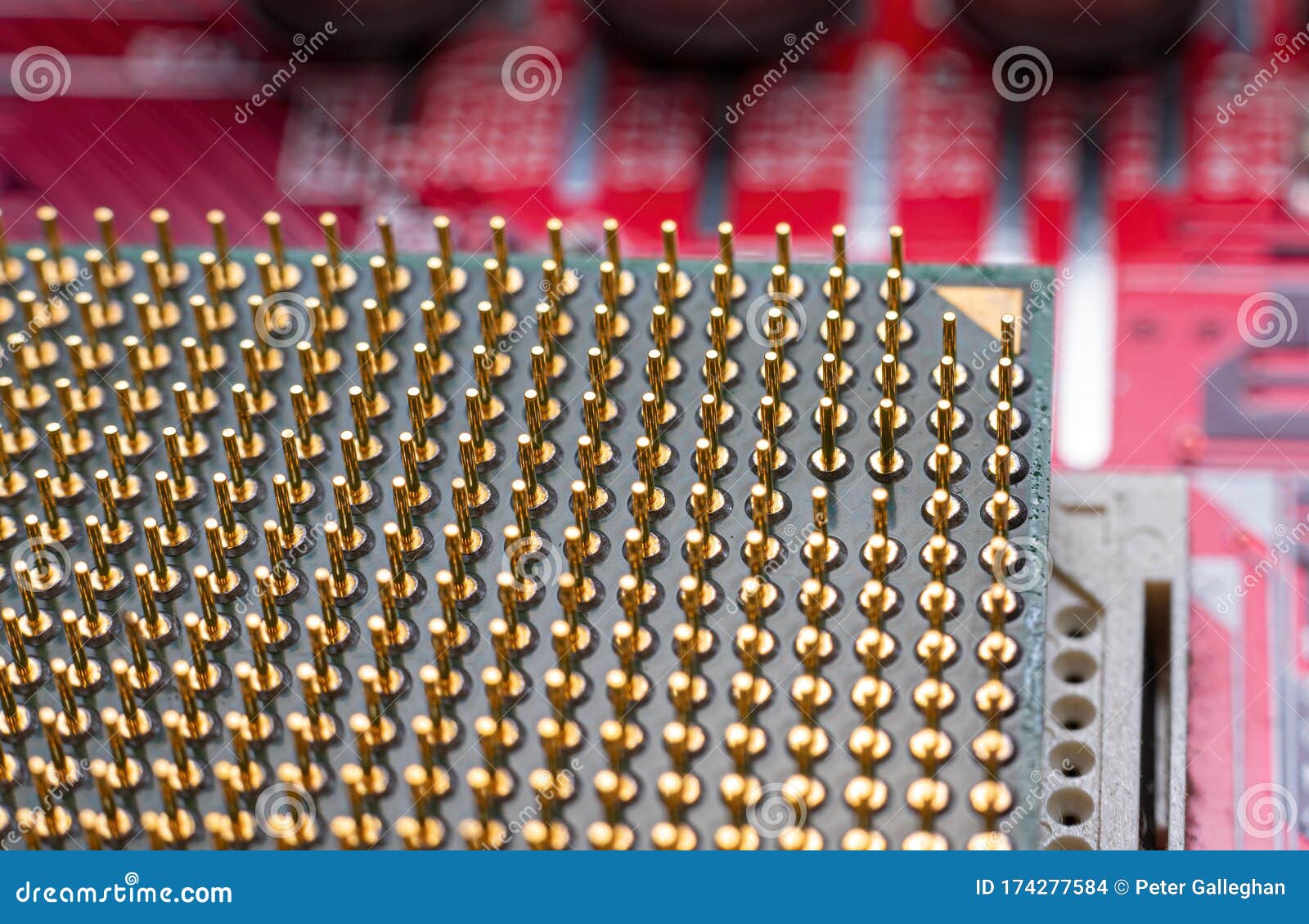 Close Up the Triangle for the CPU and Its Gold Pins Stock Photo - Image ...