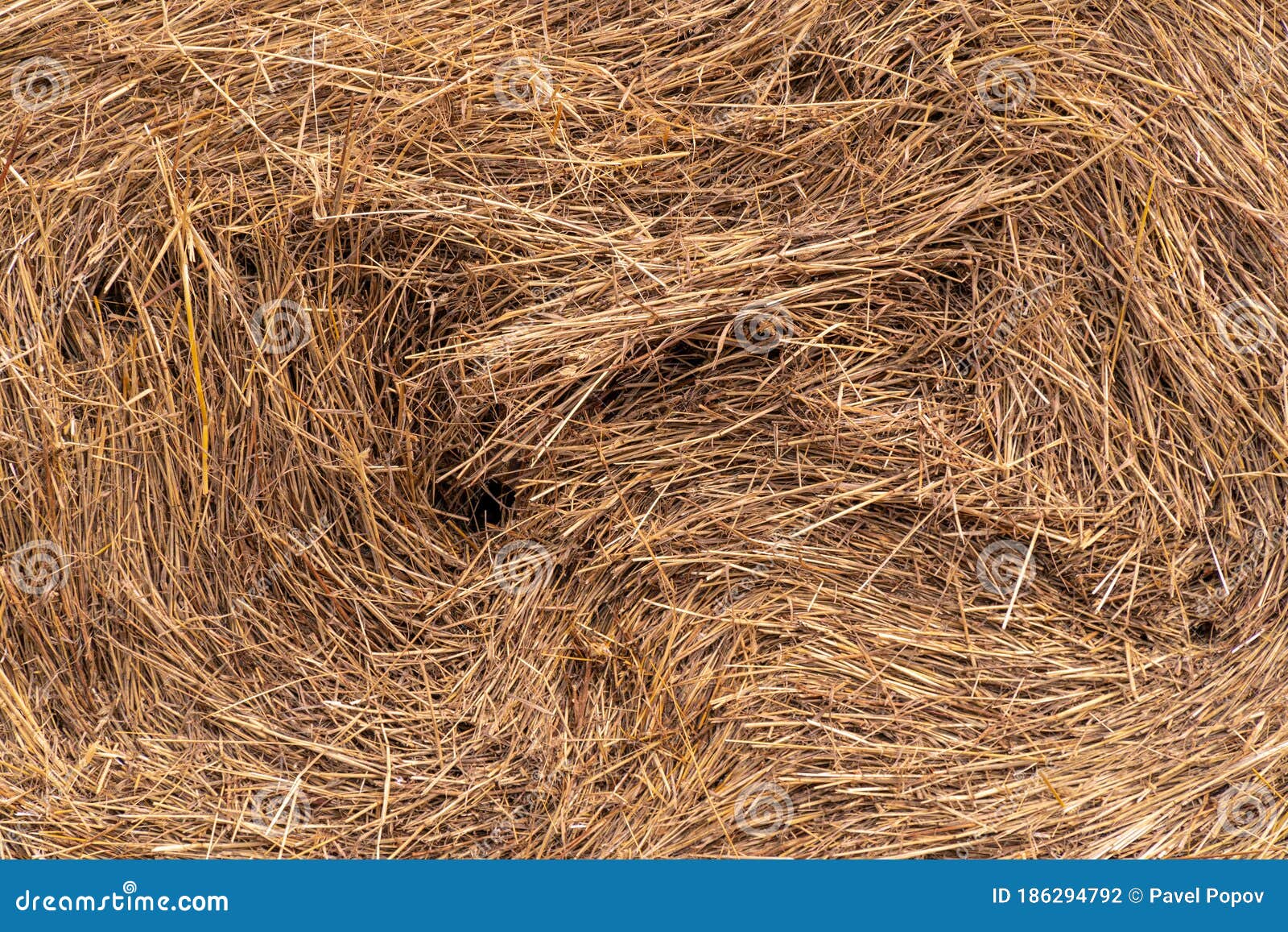 Close-up of a Twisted Stack of Straw Stock Photo - Image of farming ...