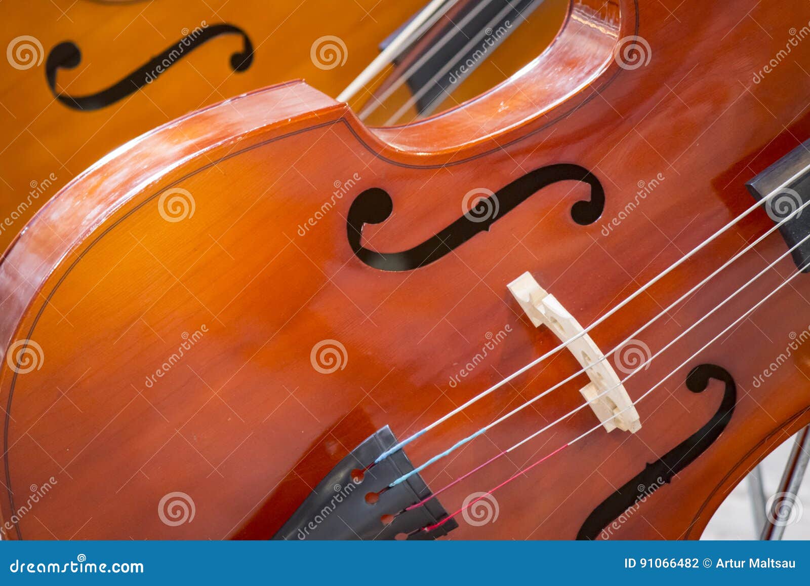 Close-up of Two Cello. Violoncello. Stock Photo - Image of retro ...