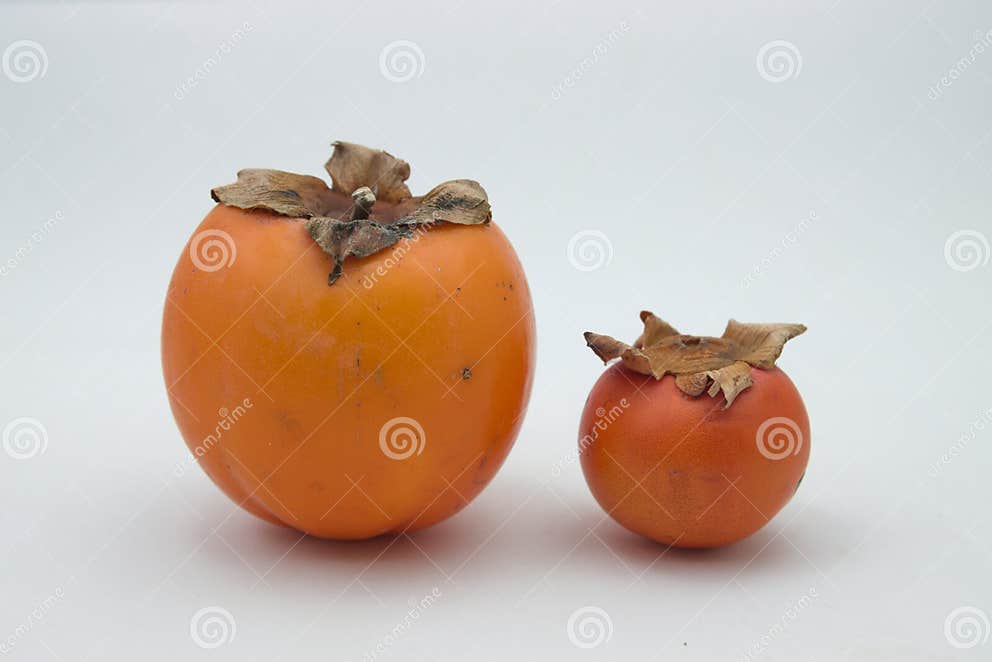 Close-up of Two Persimmon of Different Sizes on a White Background ...