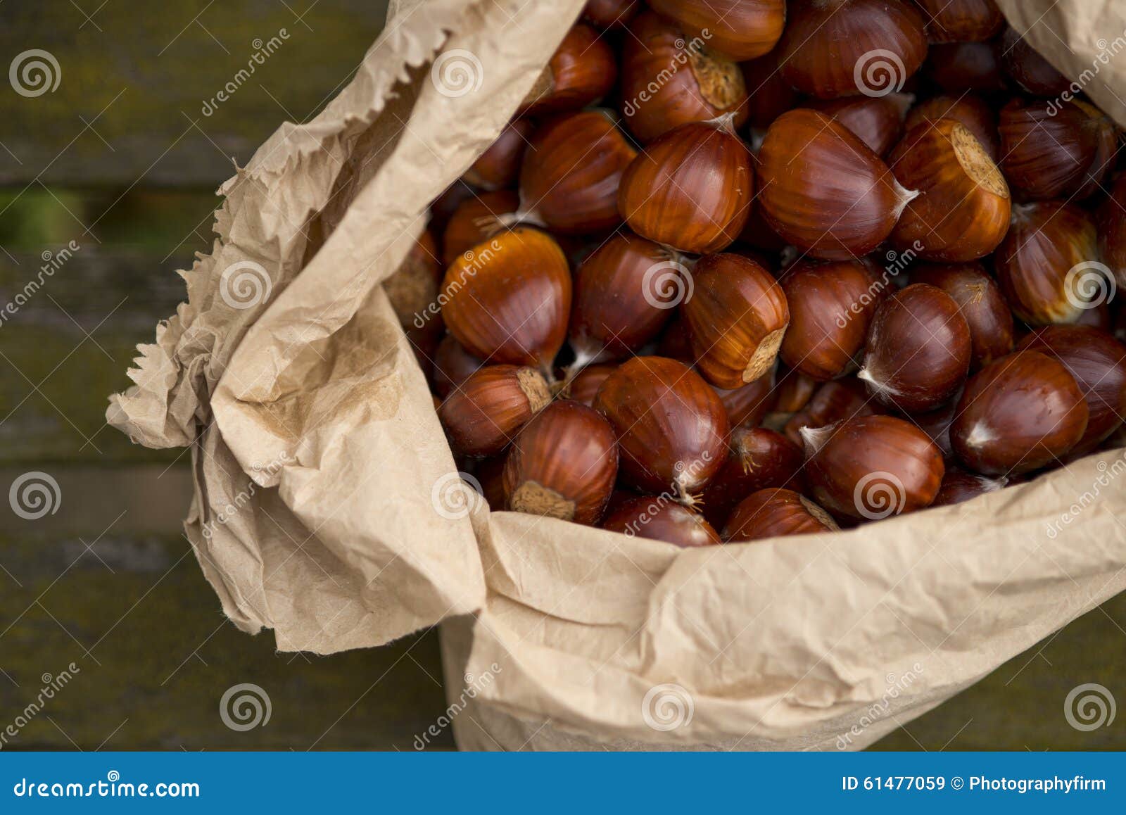 Close Up of Uncooked Chestnuts Stock Image - Image of autumn, food ...