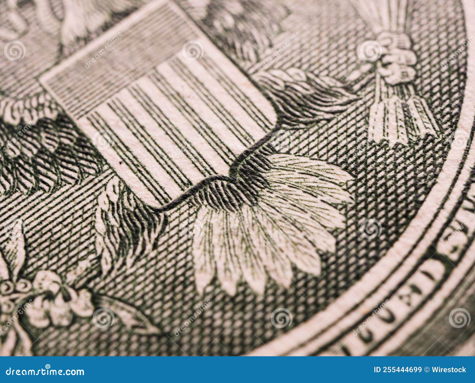 Close up of Us Dollars stock image. Image of currency - 255444699