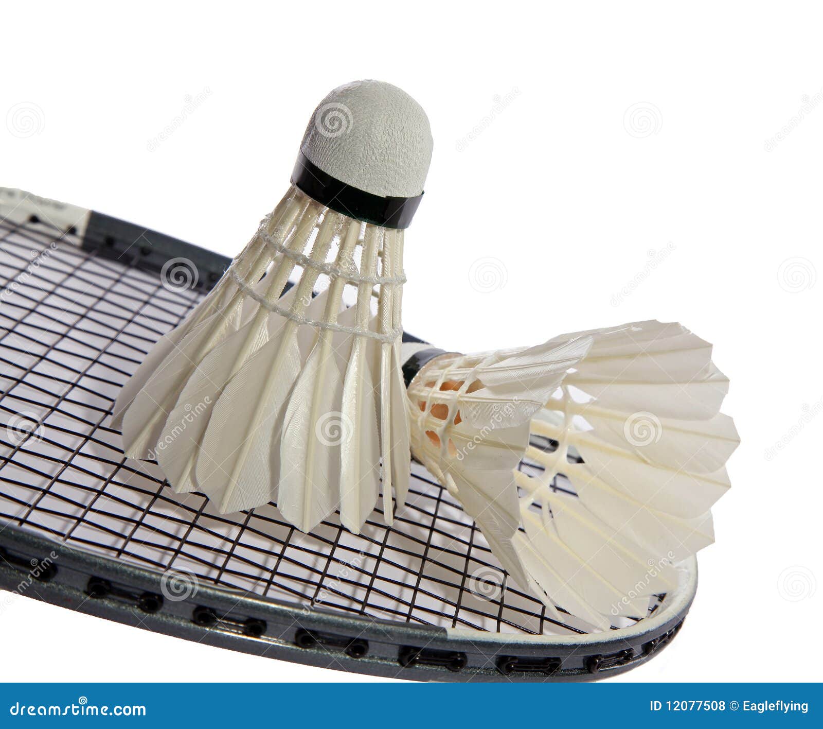 Close-up Van Badmintonracket En Shuttle Stock Foto - Image of kegel ...