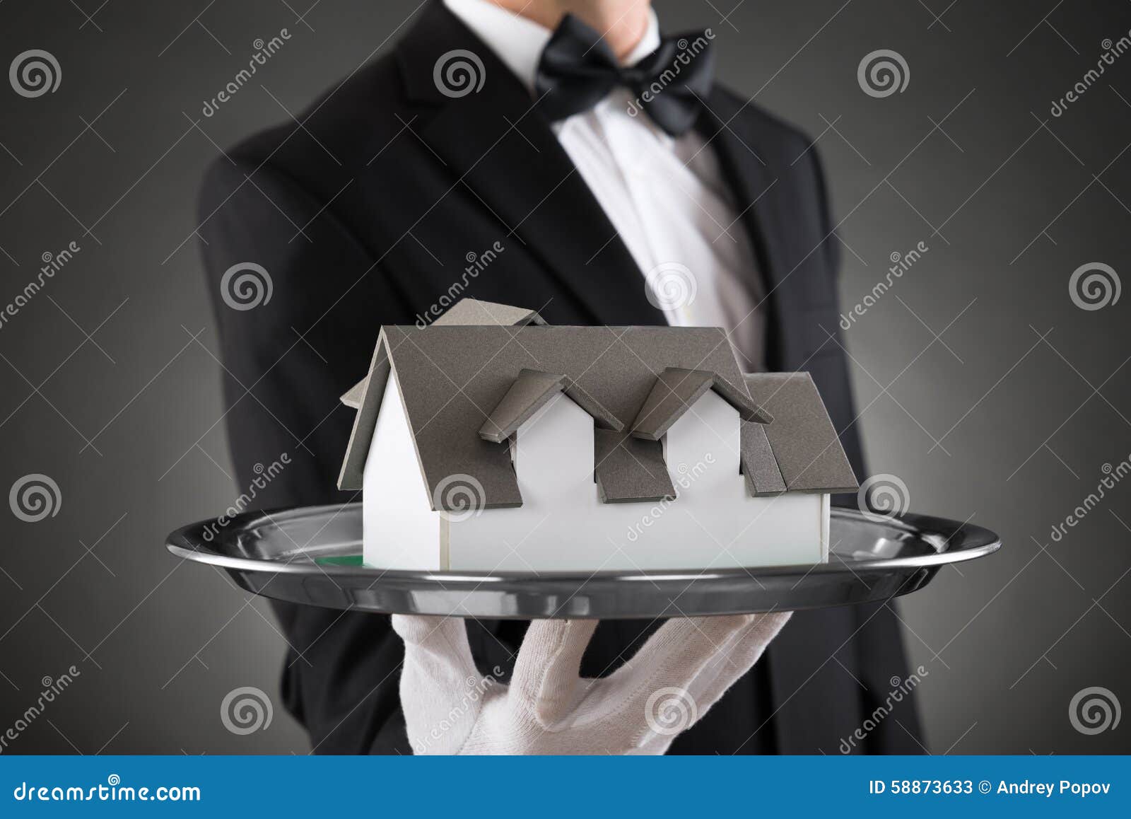 Close-up Van Butler with House Model Stock Afbeelding - Image of laag ...