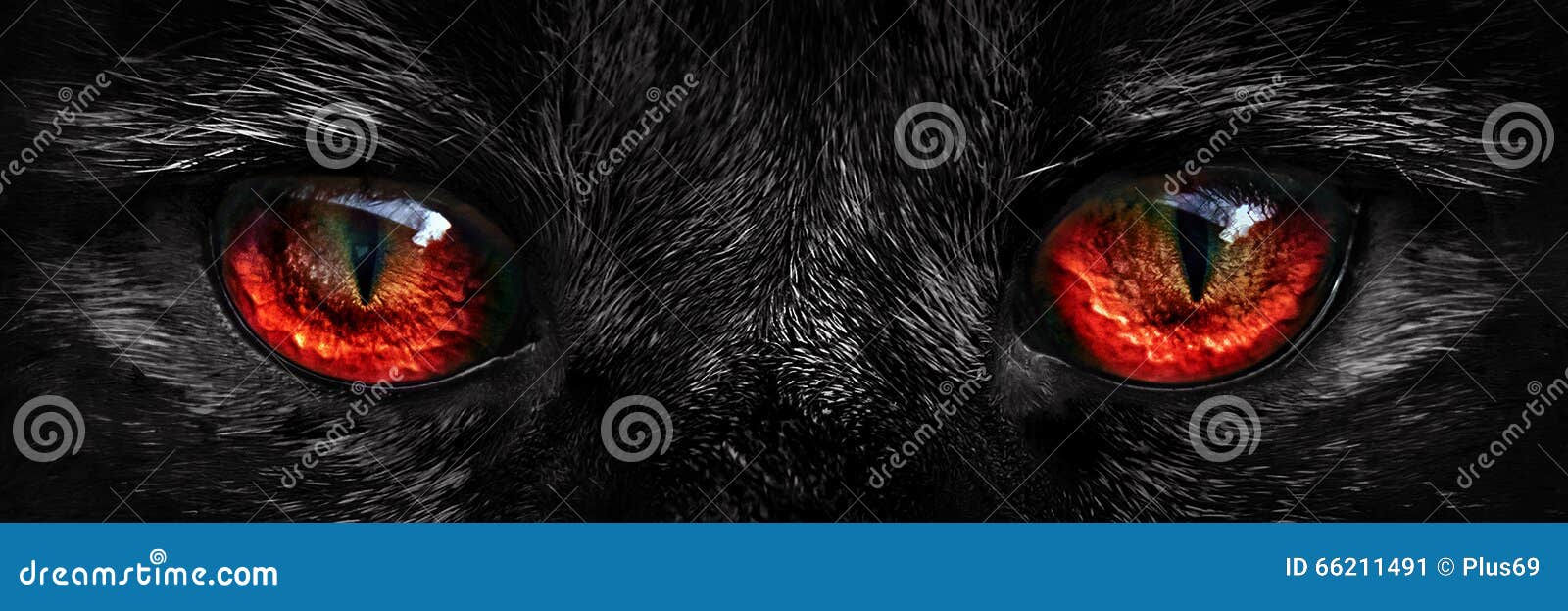 Close-up Van Ruwharig Monster De Rode Ogen Stock Afbeelding - Image of ...