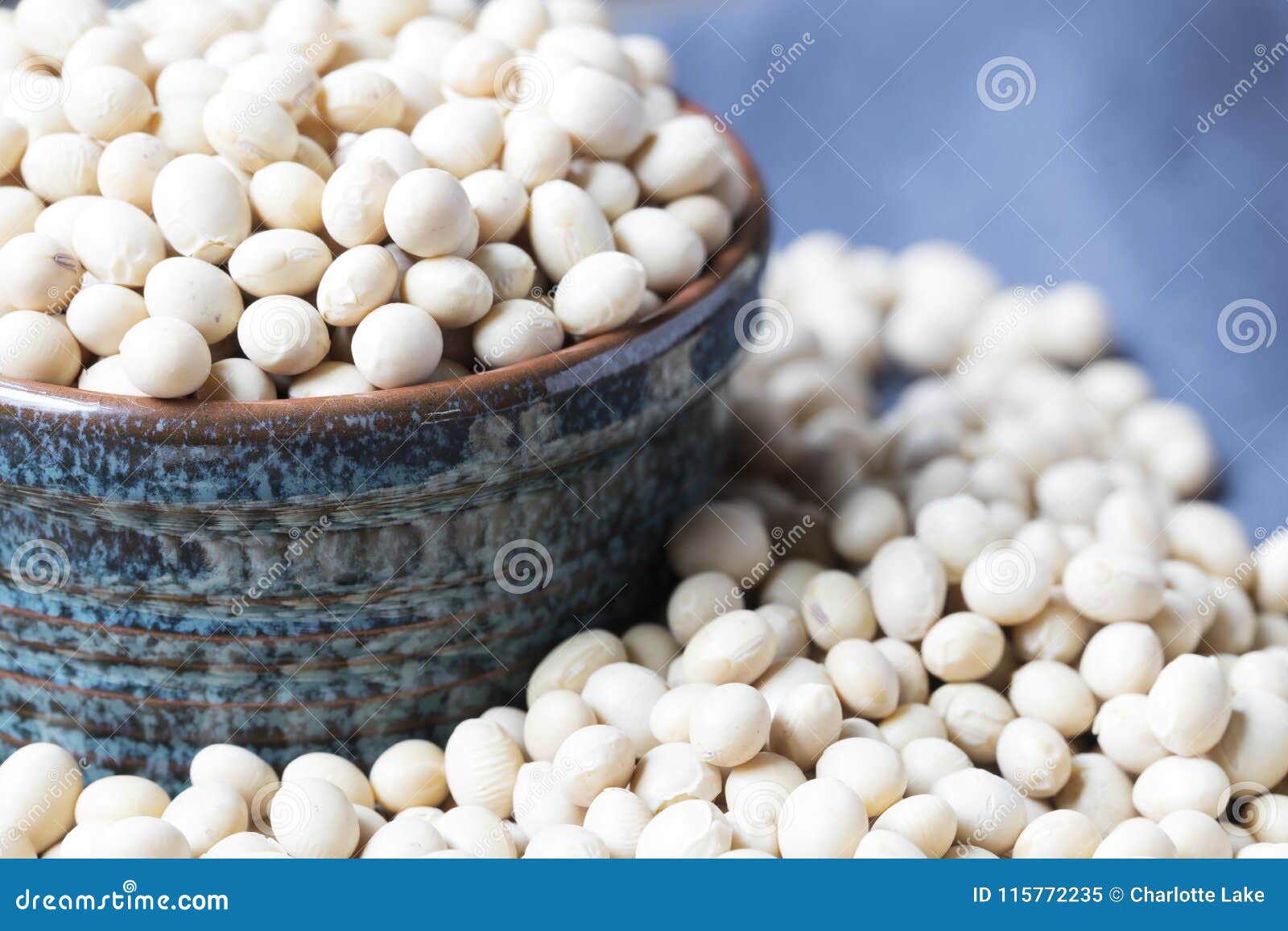 Close-up van Sojabonen stock afbeelding. Image of bonen - 115772235