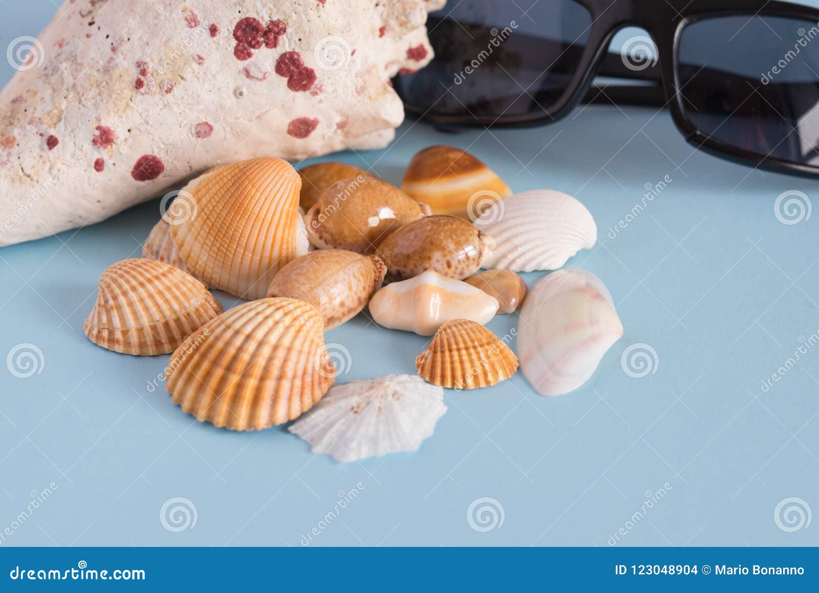 Close-up of Various Seashells and Black Glasses on a Light Blue Stock ...