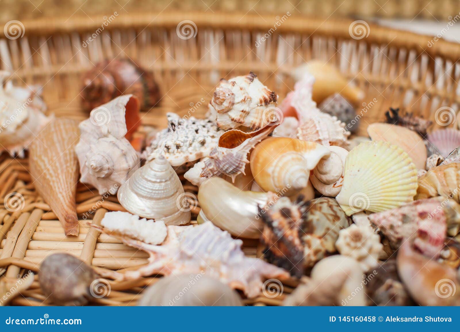 Close Up Various Shape Seashells on Woven Wicker Texture in Selective ...