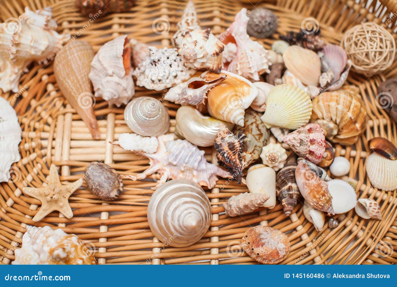 Close Up Various Shape Seashells on Woven Wicker Texture in Selective ...