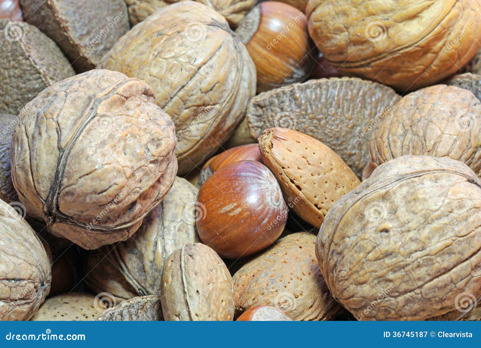Close Up of Various Uncracked Nuts. Stock Image - Image of tough, hard ...