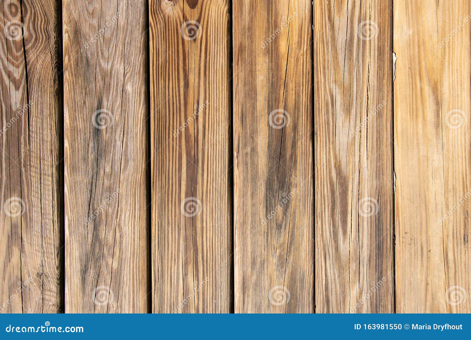 Vertical Wall Wood Planking Stock Photo - Image of board, closeup ...