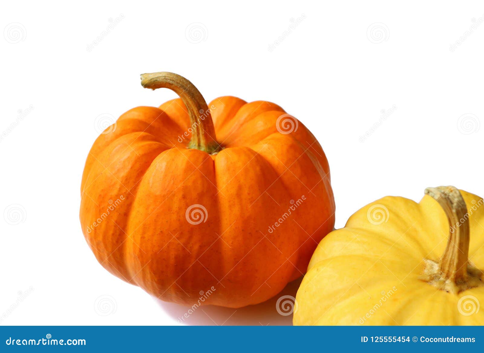 Close Up of a Vibrant Orange Color Ripe Pumpkin and a Yellow One in ... Close Up of a Vibrant Orange Color Ripe Pumpkin and a Yellow One in ...