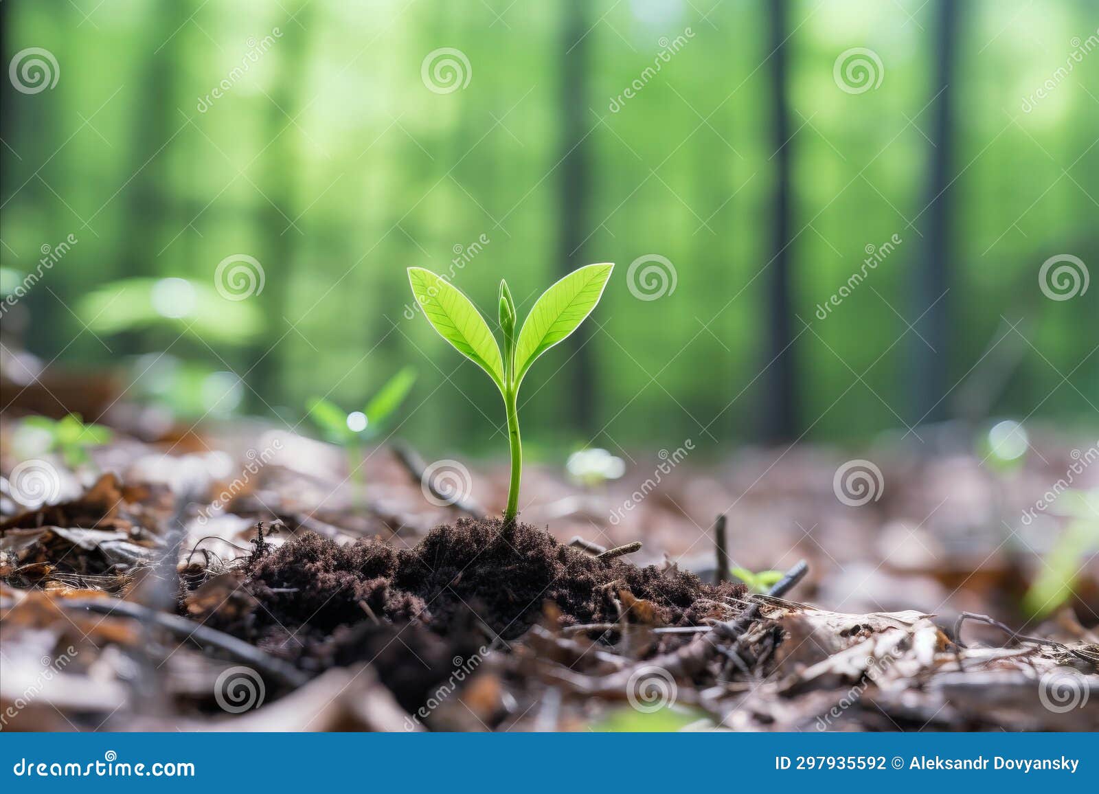 Close-up of a Vibrant and Thriving Young Seedling Sprouting Amidst the ...