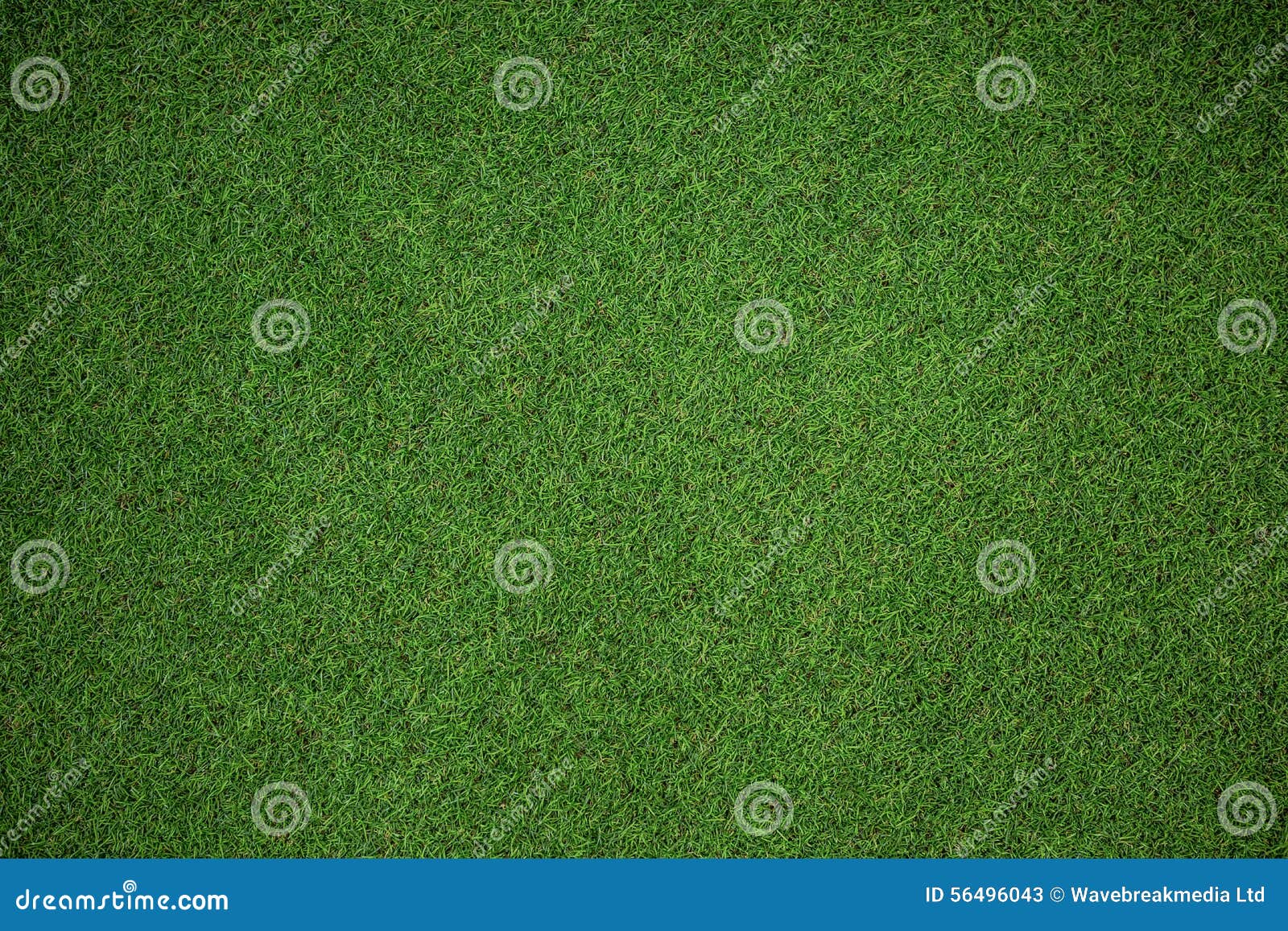 Astro Turf Background Stock Photo | CartoonDealer.com #3504744