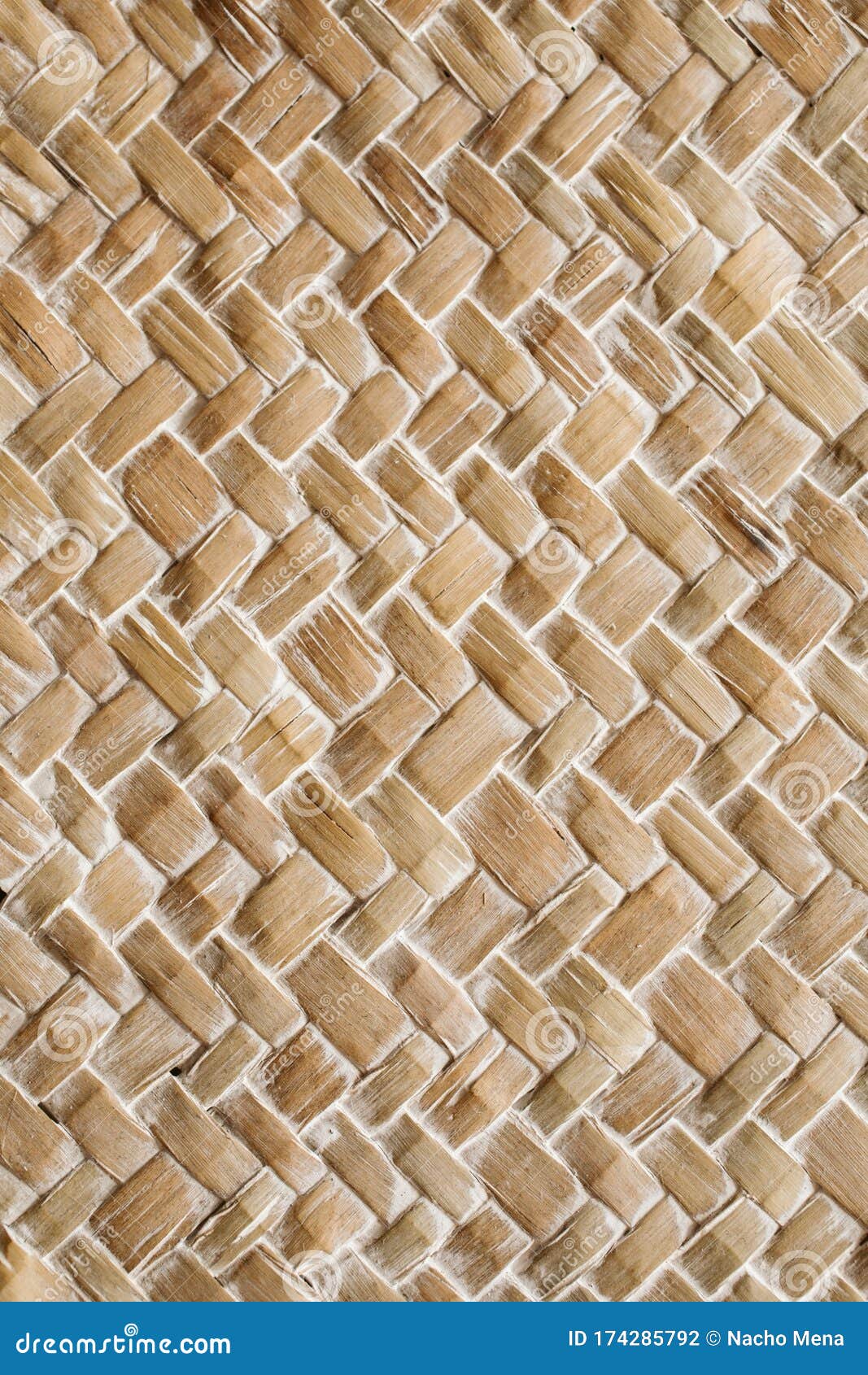 Close Up View of Bamboo Texture and Background for Design. Bamboo ...
