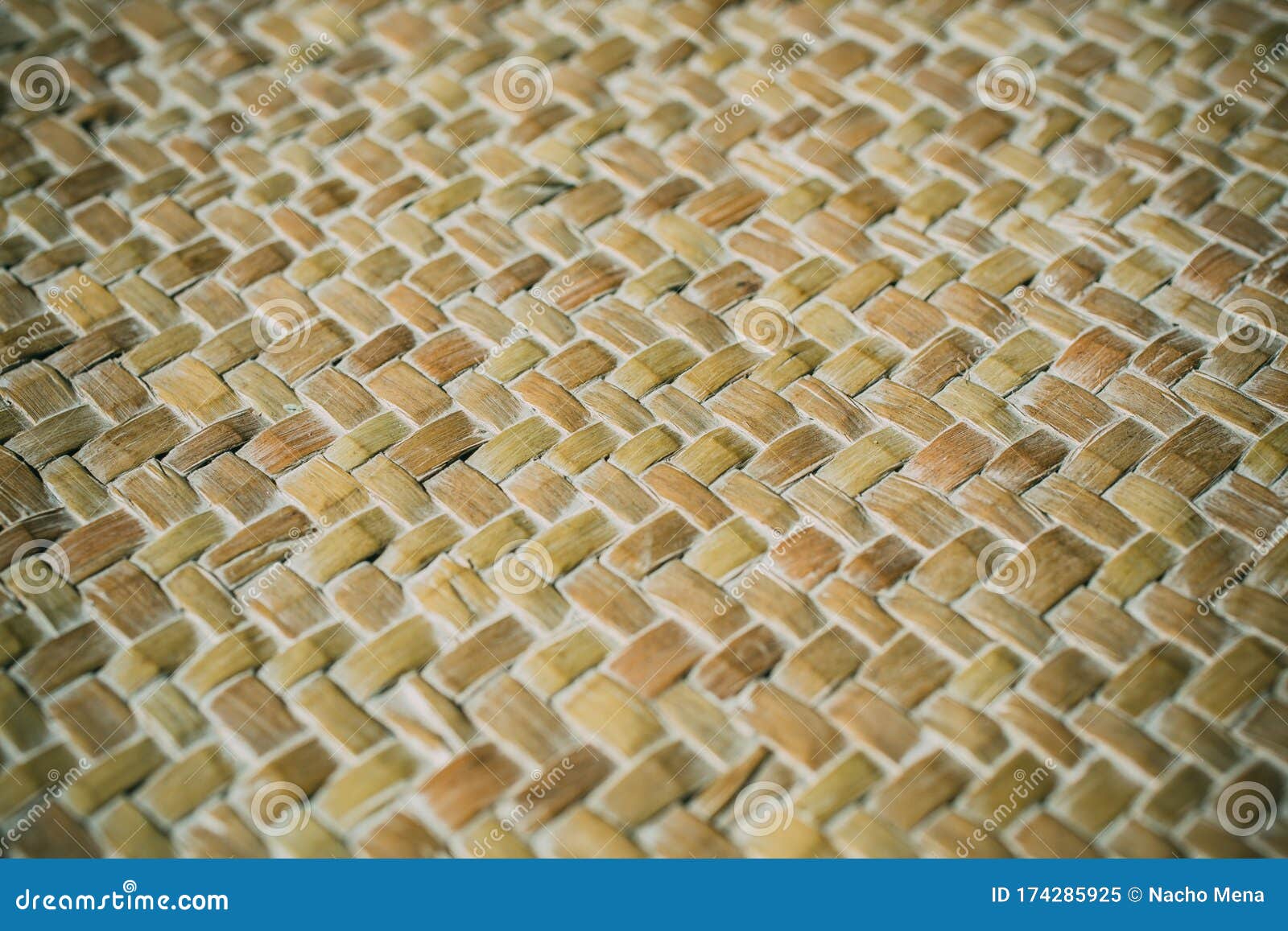 Close Up View of Bamboo Texture and Background for Design. Bamboo ...