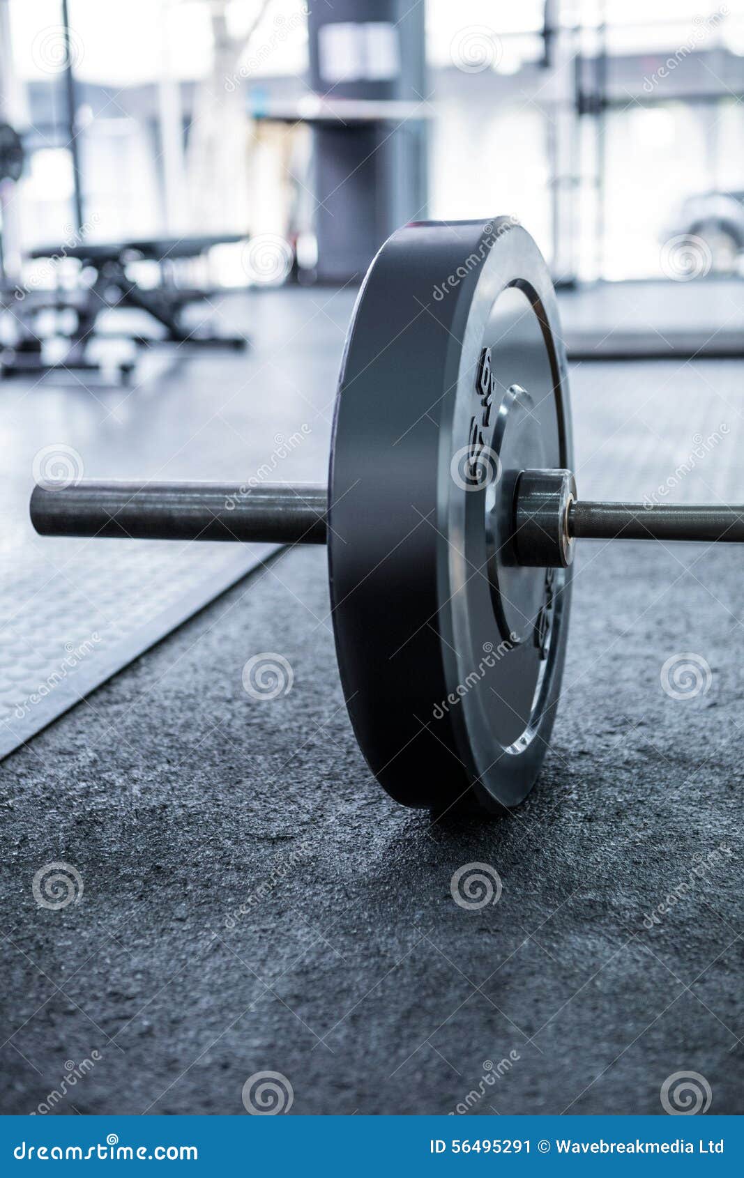 Close up view of barbell stock image. Image of club, studio - 56495291
