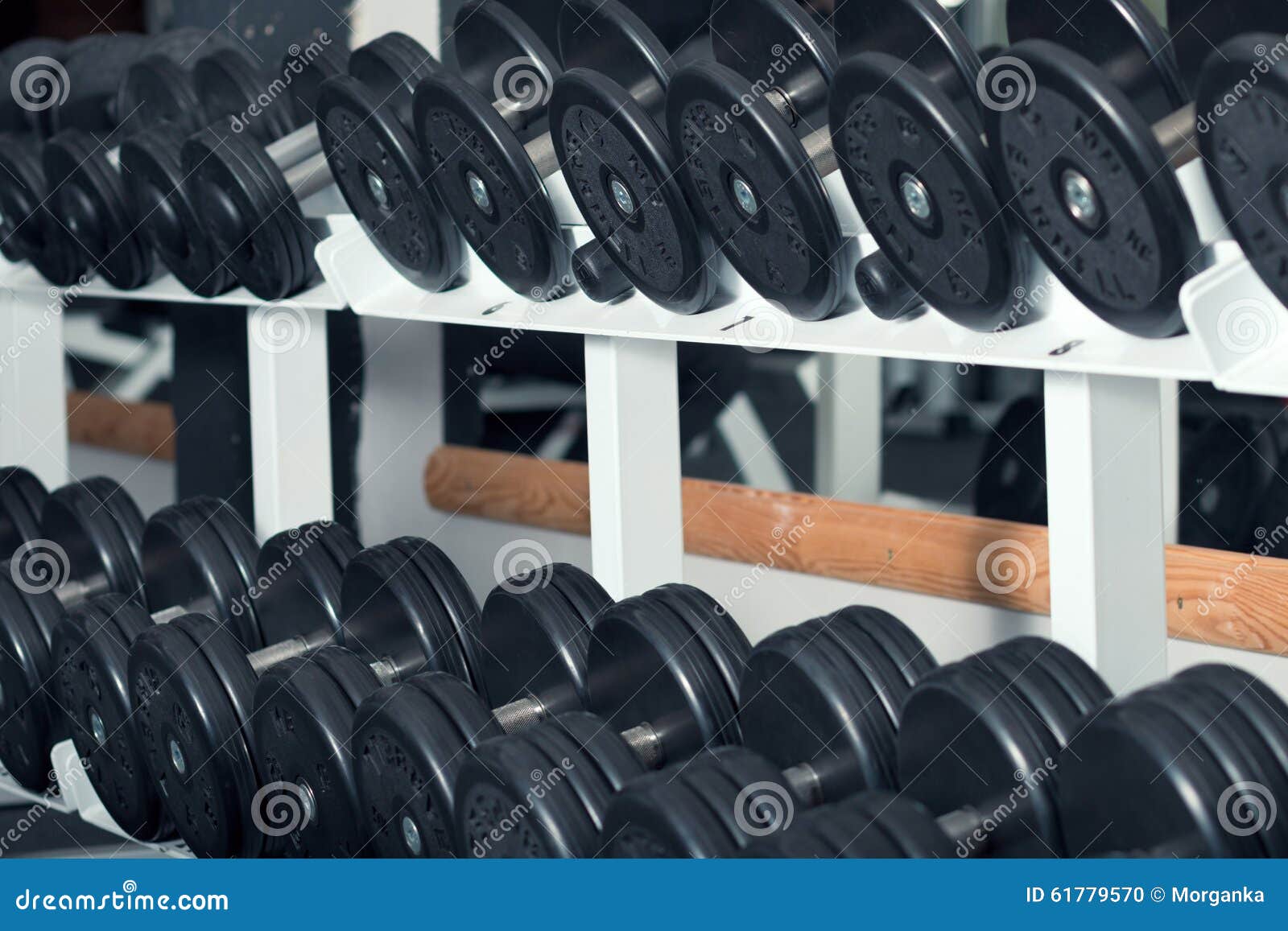 Close-up View of Barbells Organized in Row Stock Photo - Image of ...