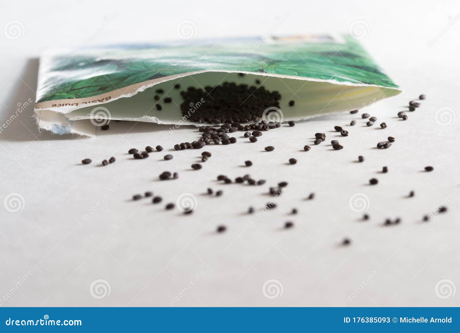 Basil Seeds Spilled from a Seed Packet Stock Image - Image of spring ...