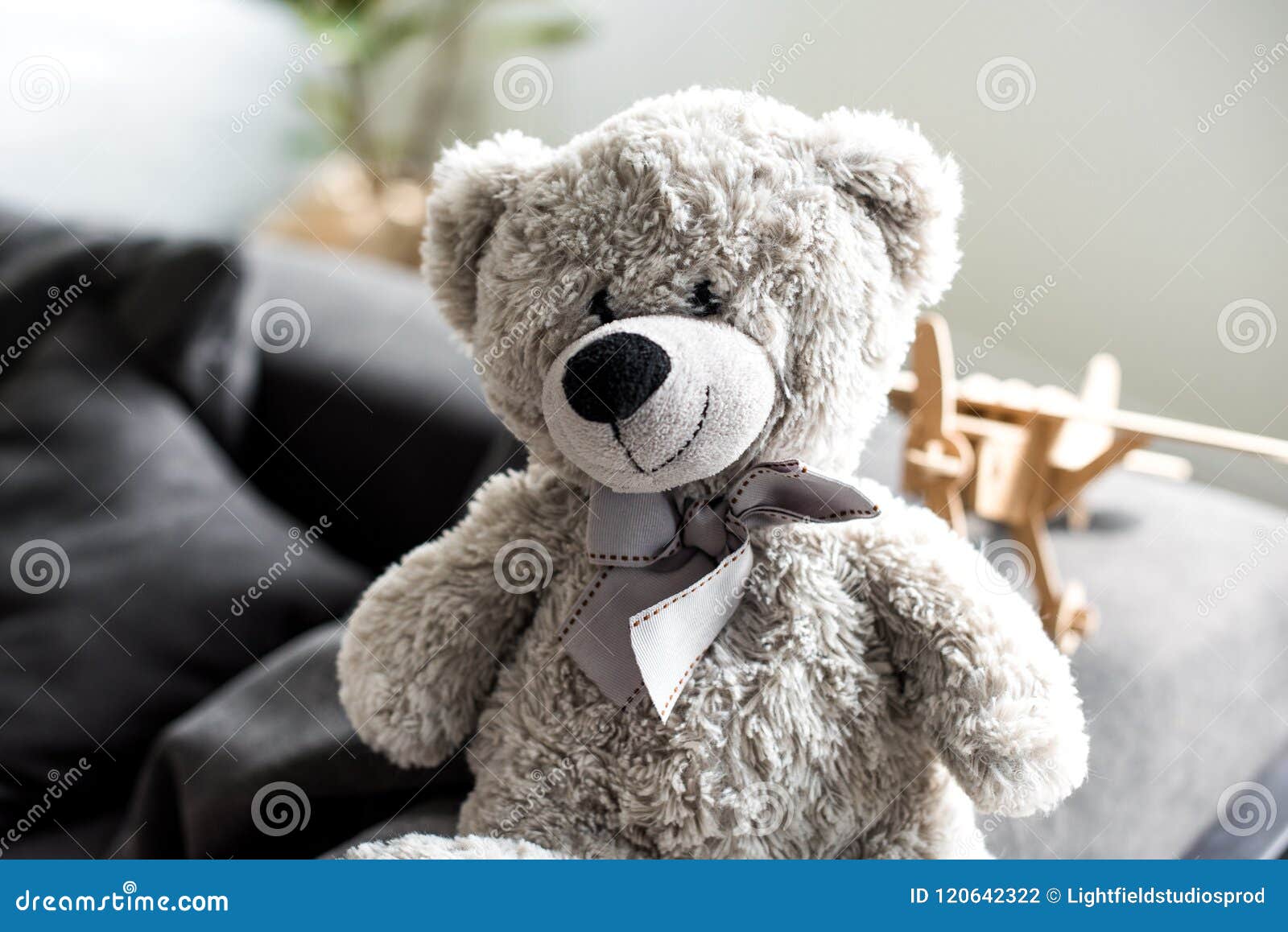 Close-up View of Beautiful Grey Teddy Bear Stock Photo - Image of small ...