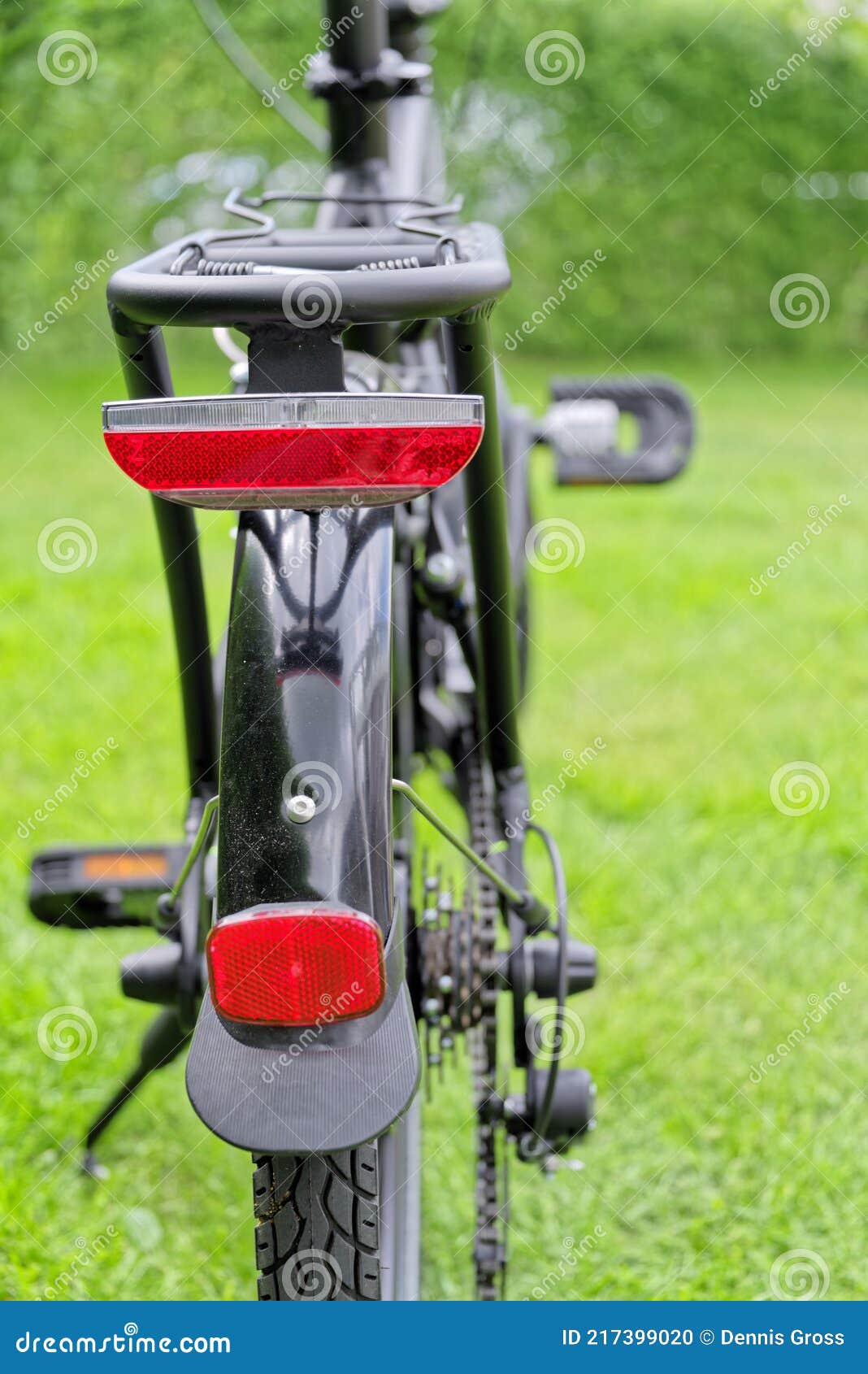 Close-up View of a Bicycle from Behind Stock Photo - Image of grass ...
