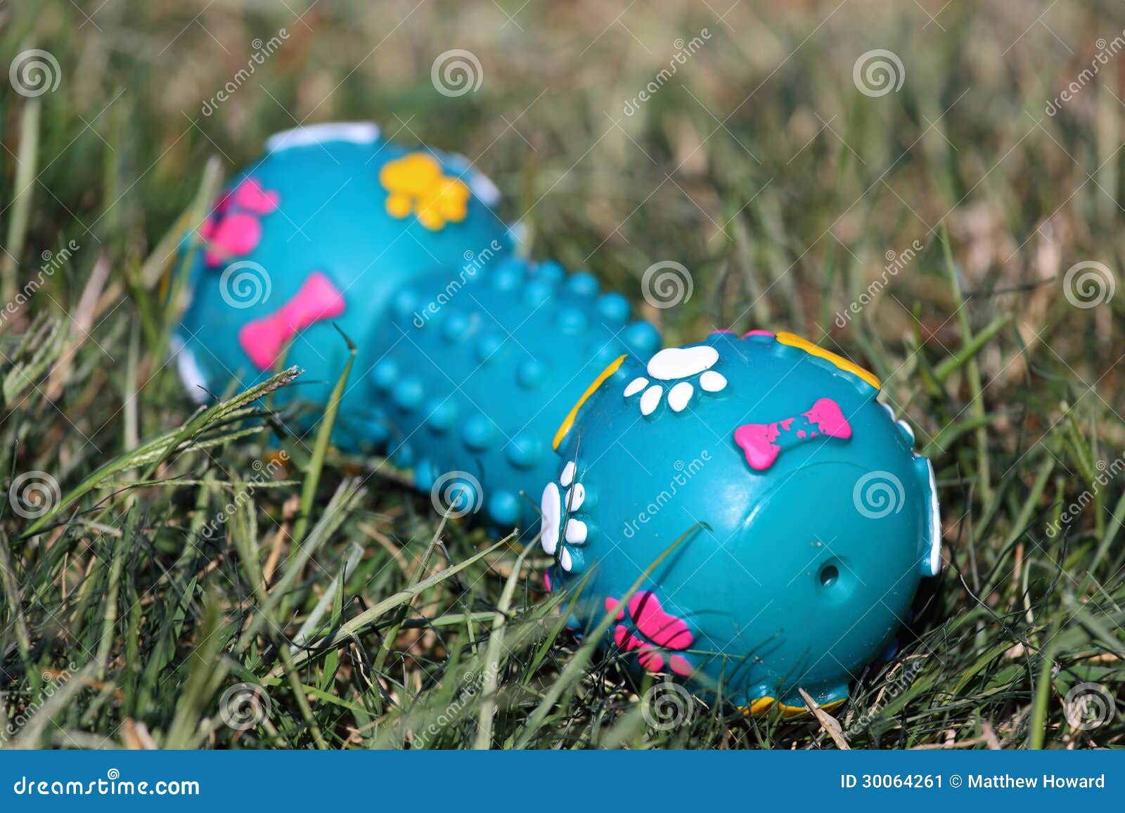 Dog Chew Toy stock image. Image of rubber, chewing, play - 30064261