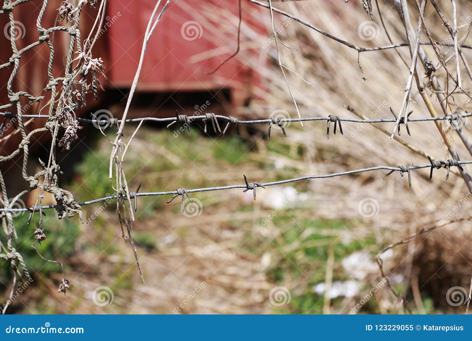 Close Up View of Broken Barbed-wire Fence Seen at the Boundary Stock ...