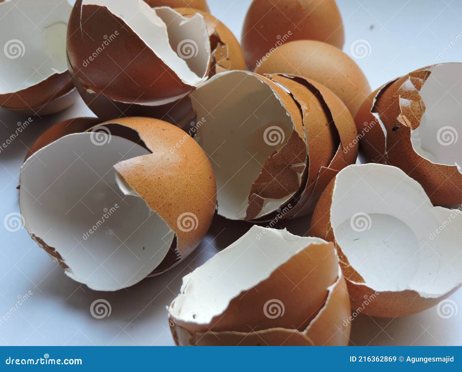 Broken Eggshells on a White Colour Background Stock Image - Image of ...