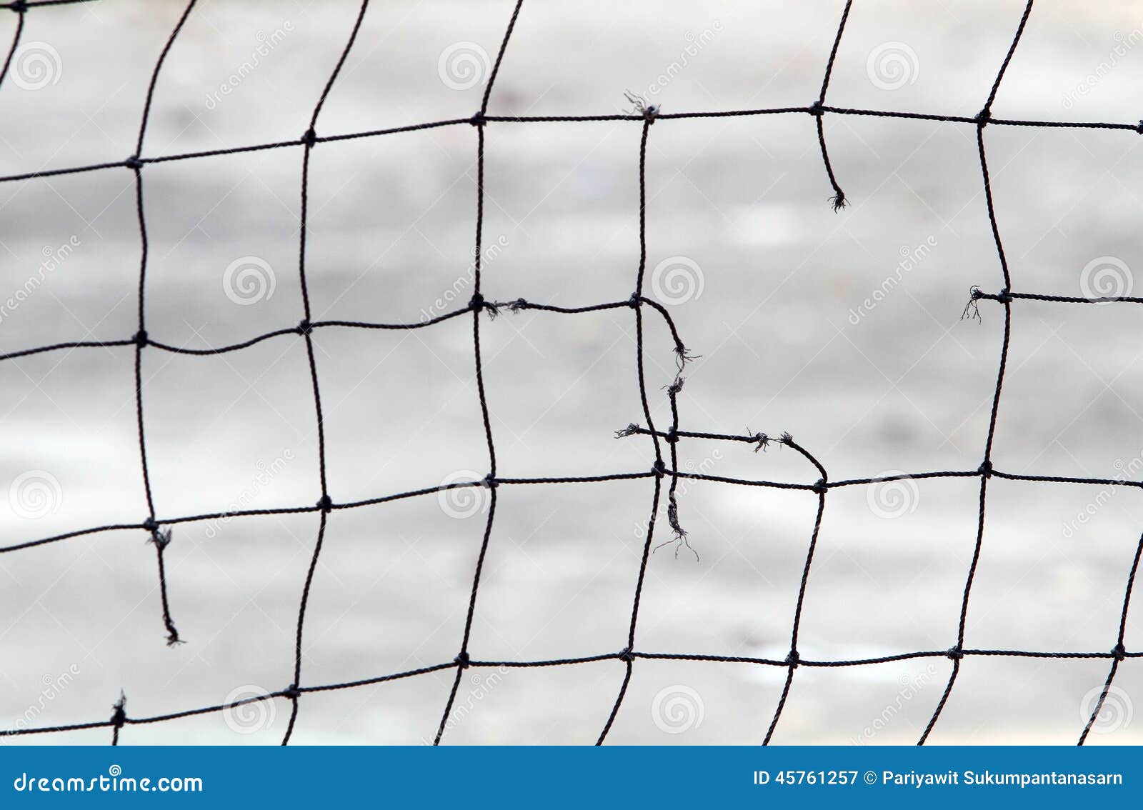 Close-up View of a Broken Volleyball Net Stock Image - Image of secure ...