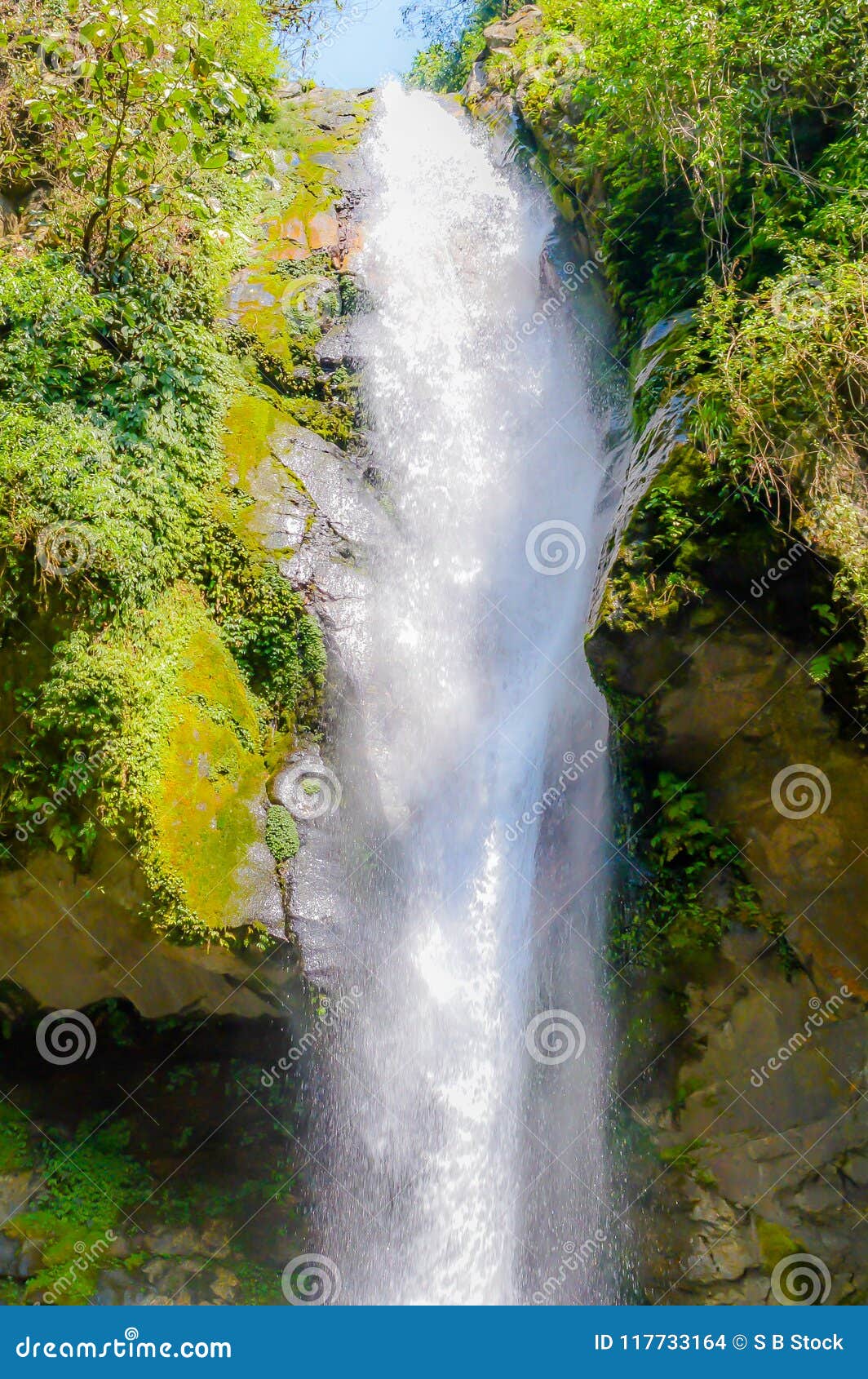 Up-close View of Stream Waterfall Stock Photo - Image of exposure ...