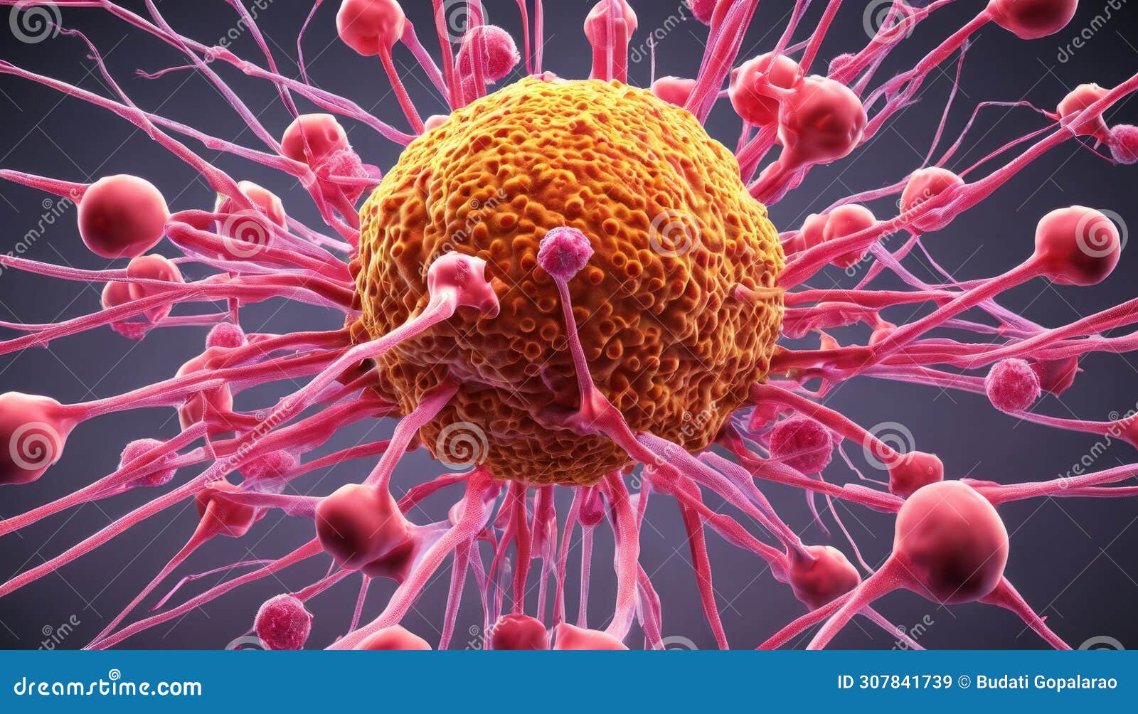 A Close-up View of a Cell with Dendrites and Synapses, a Key Component ...