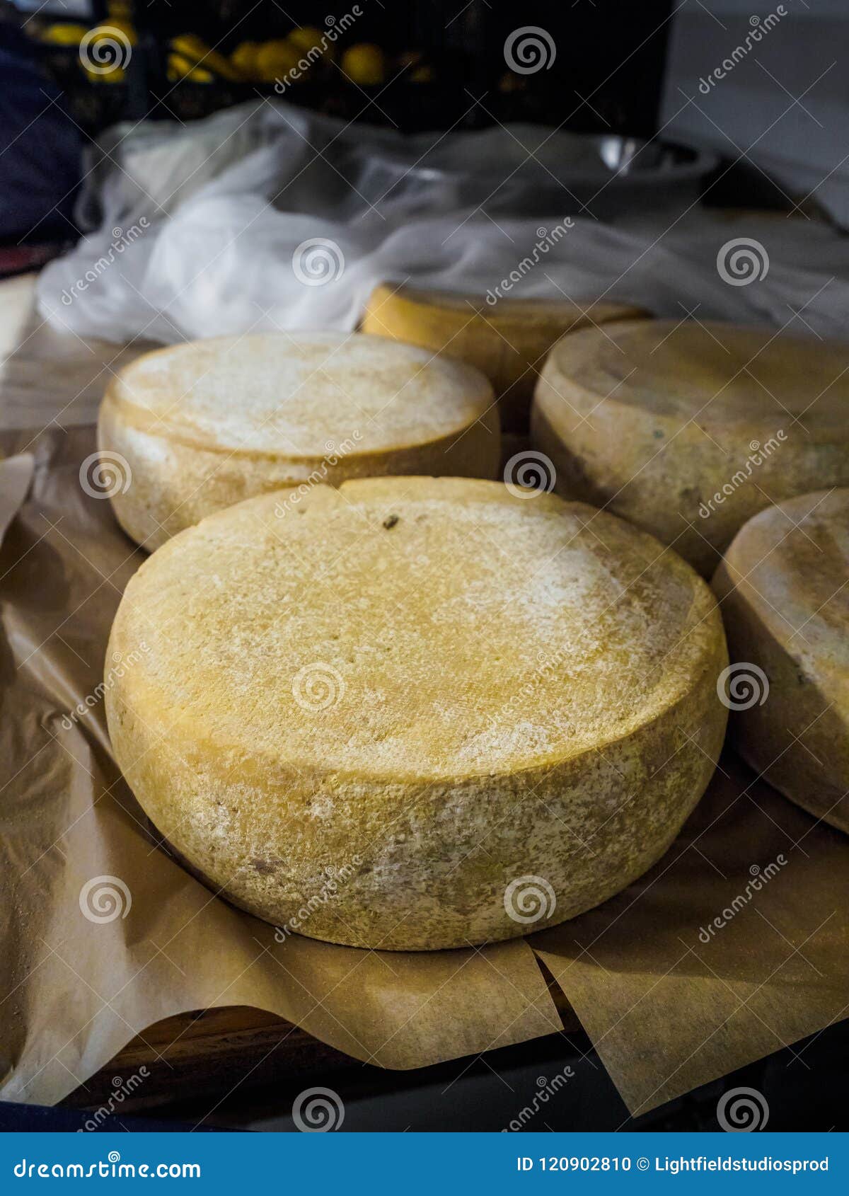 Close Up View of Cheese Rolls Stock Photo - Image of lifestyle, baking ...
