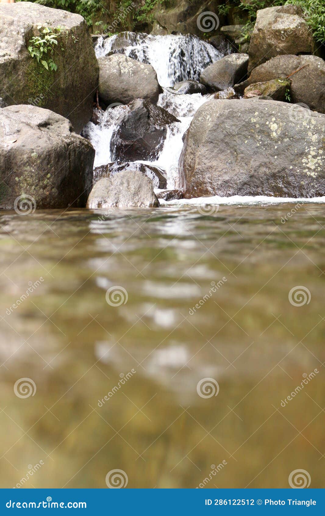 Close-up View of Clear Water Cascading Down River Rocks Stock Photo ...