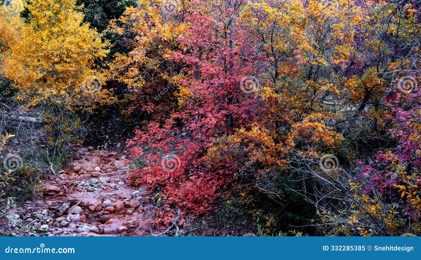 Colorful Autumn Trees on the Slope of Mount Nebo in Utah. Stock Image ...