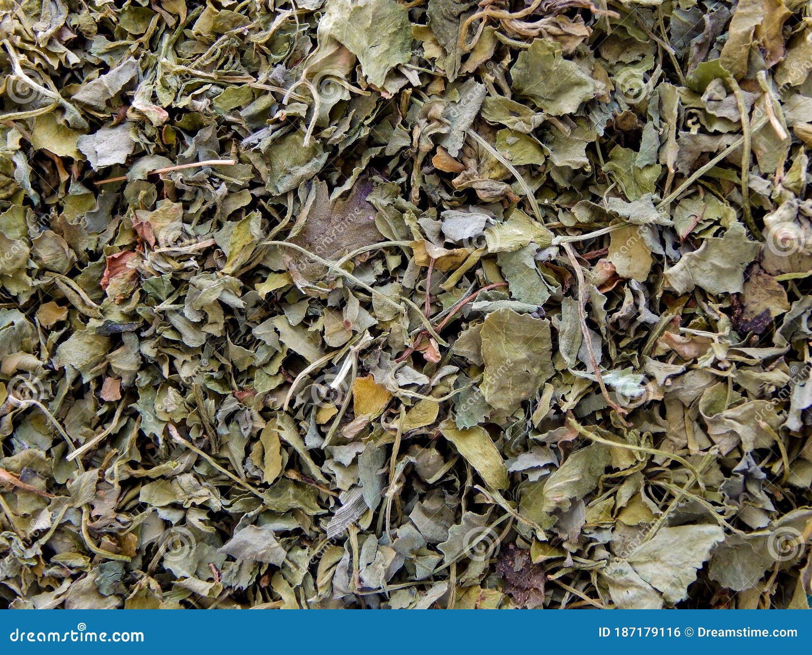 Close-up View of Dried Parsley Flakes Stock Photo - Image of pattern ...