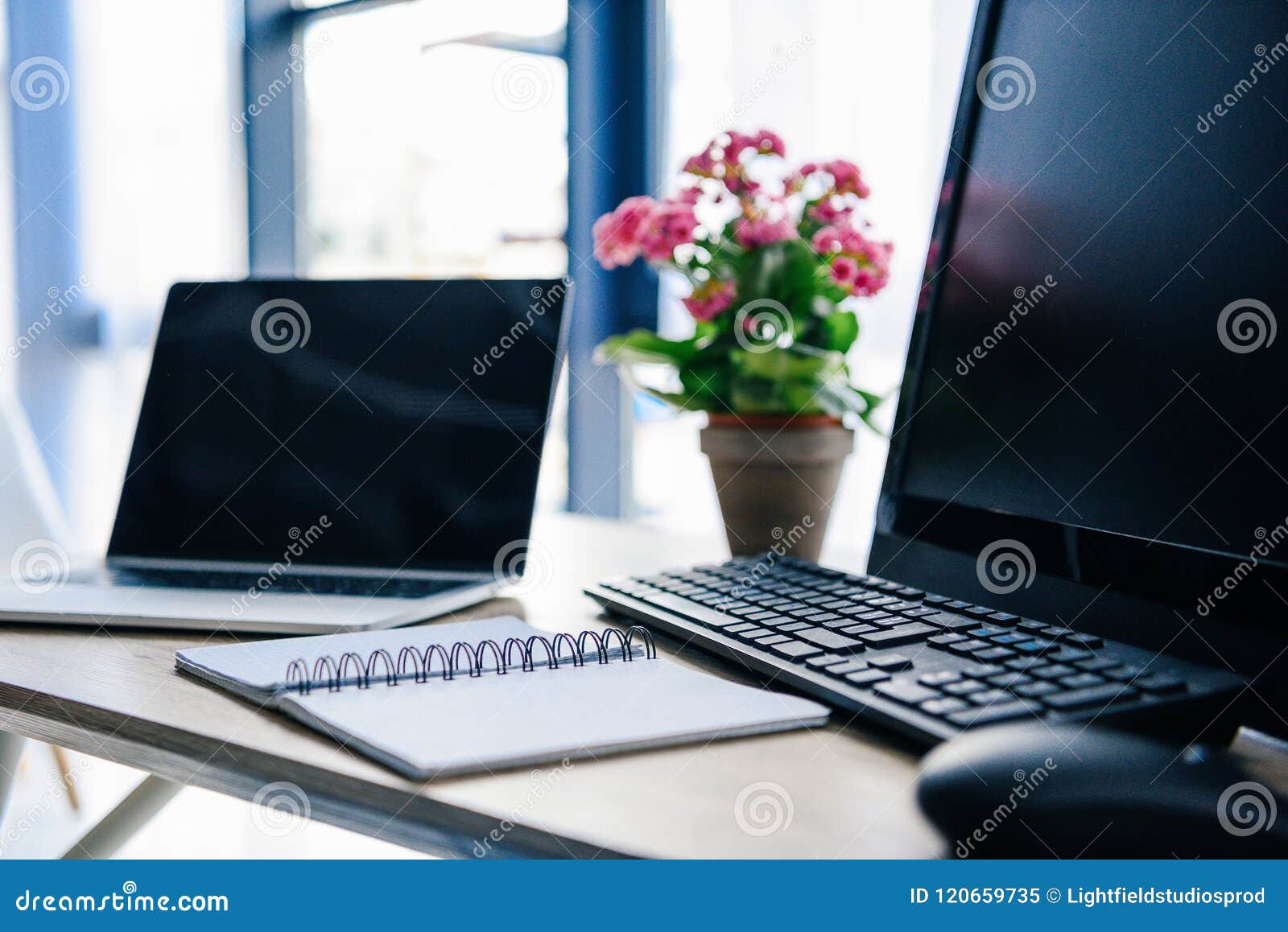 Close Up View of Empty Textbook, Laptop, Flowers in Pot, Computer ...