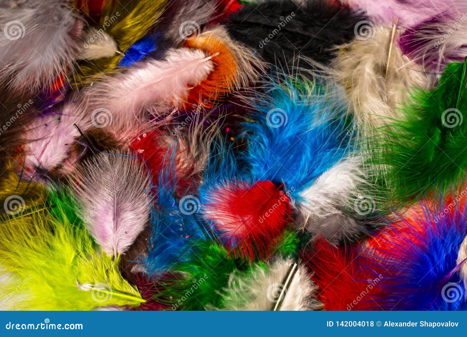 Close Up View of Feathers of Different Colors. Beautiful Colorful ...