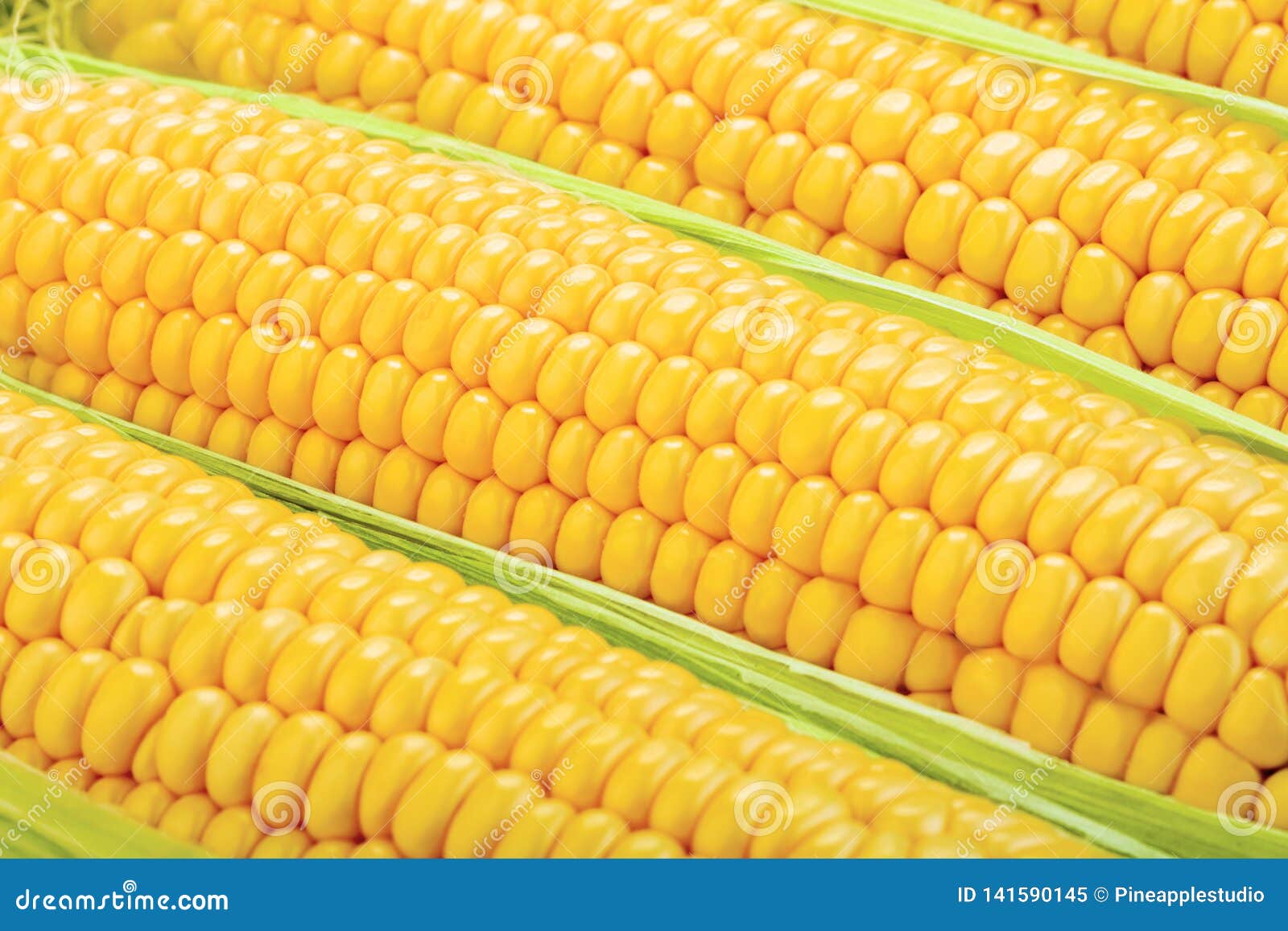 Close-up View of Fresh Corn Stock Image - Image of closeup, close ...