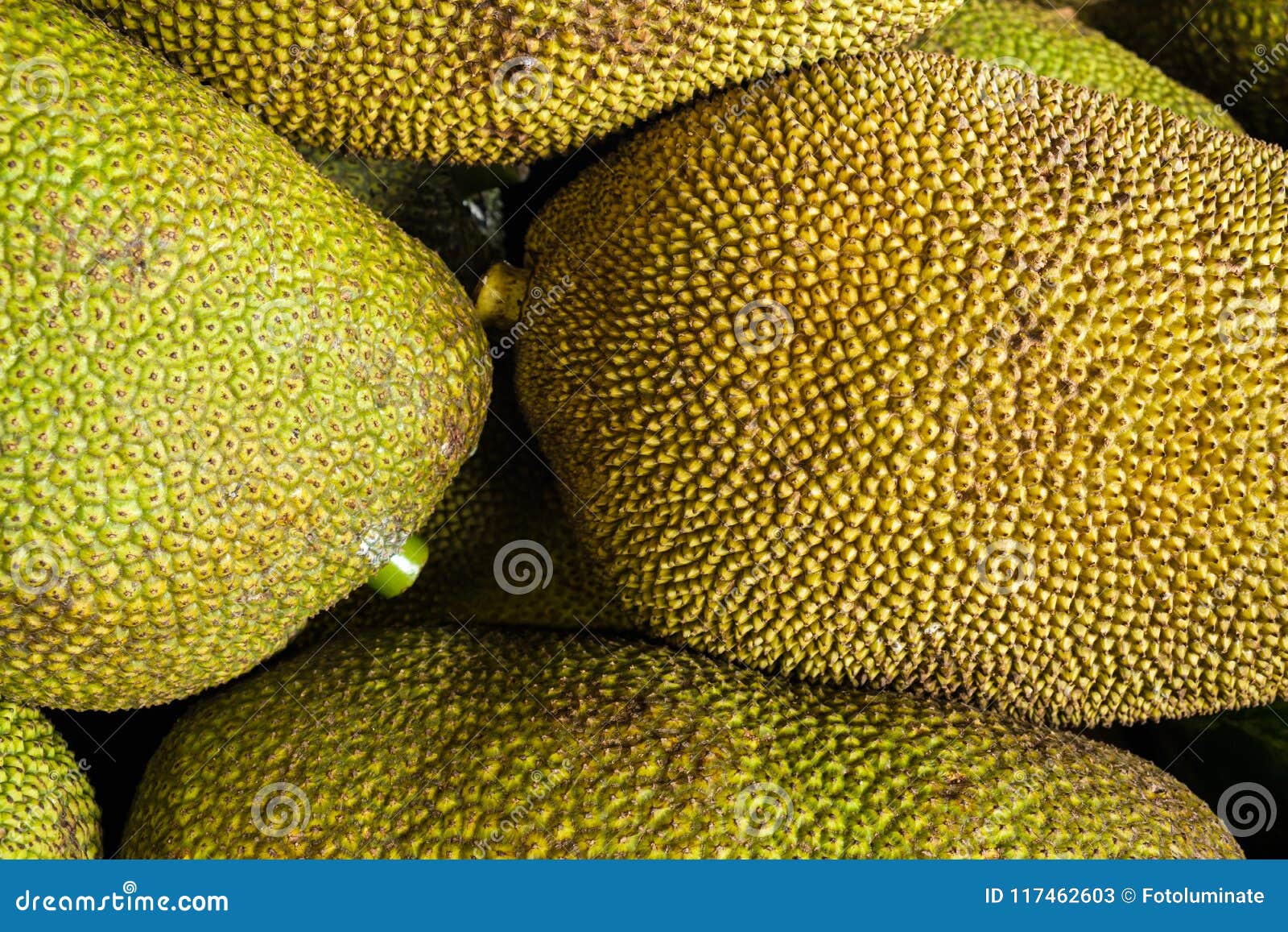 Fresh ripe jackfruit stock image. Image of yellow, fresh - 117462603