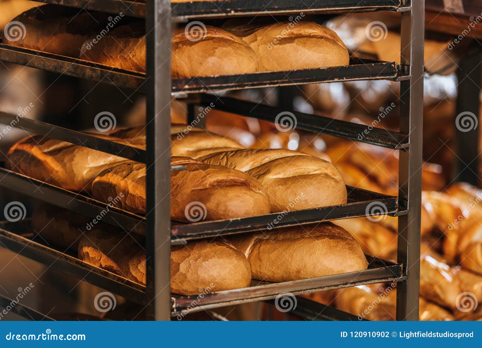 Close Up View of Freshly Baked Bakery Stock Photo - Image of ...