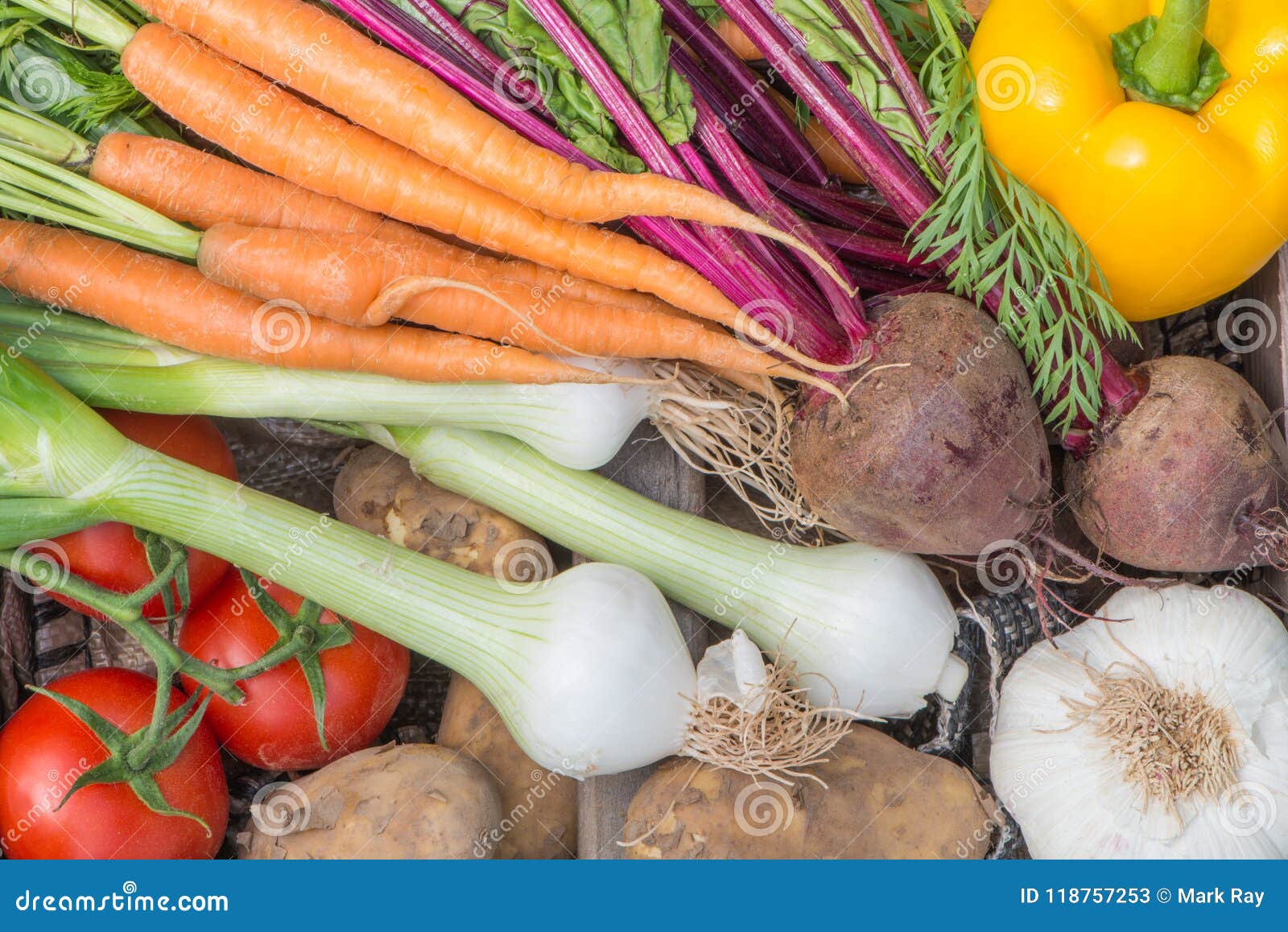 A Close Up View of Freshly Picked Vegetables. Stock Image - Image of ...